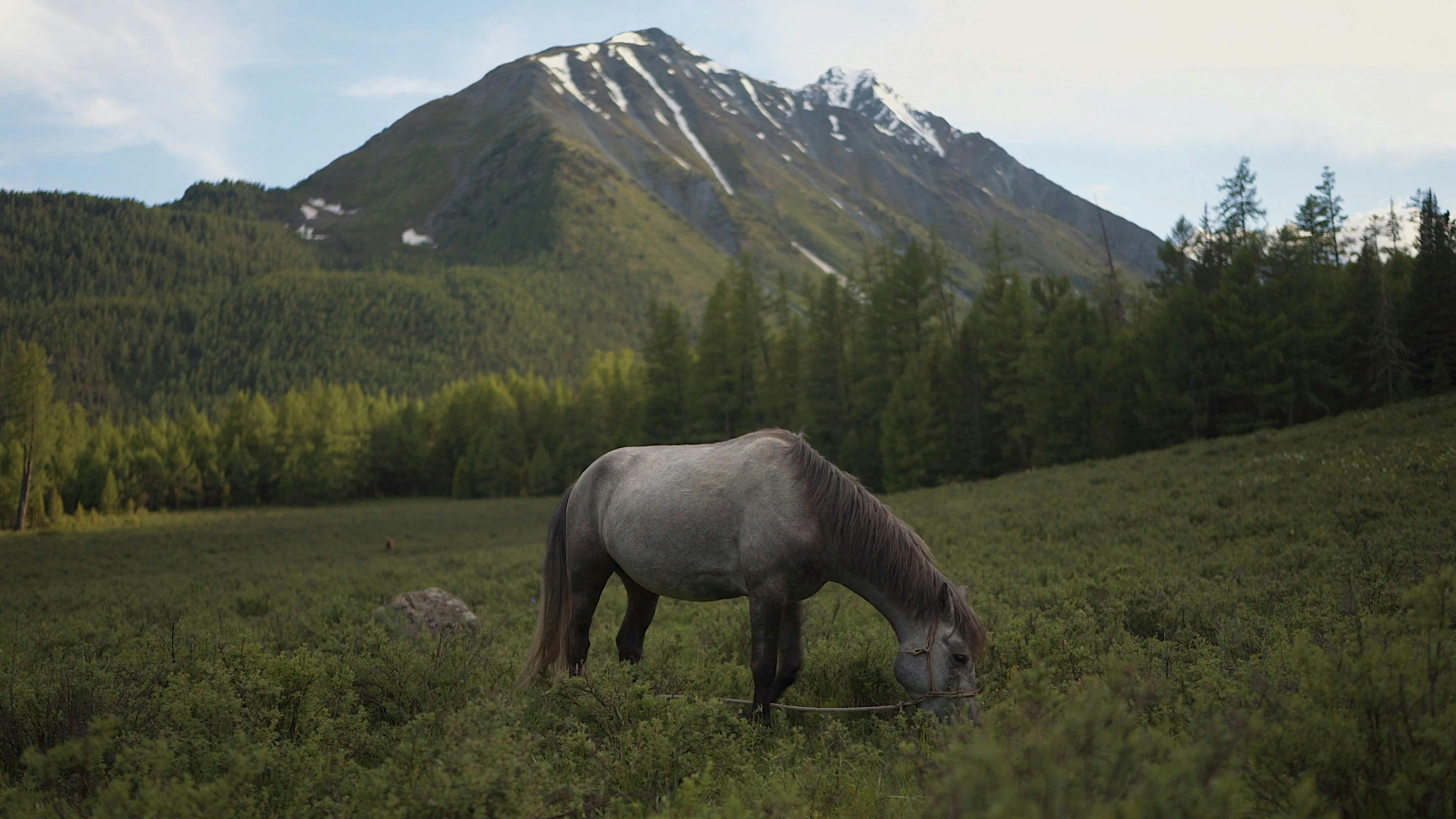 View Of A Beautiful Landscape Free Stock Video Footage, Royalty-Free 4K ...
