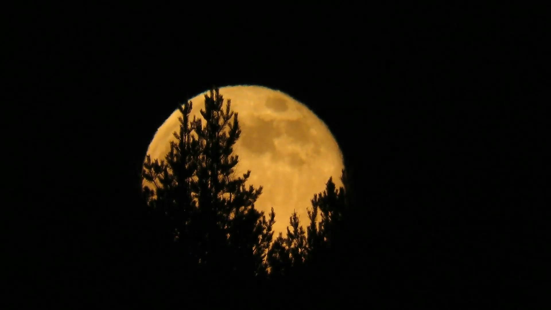 Time-Lapse Video of a Moon Rising Free Stock Video Footage, Royalty ...