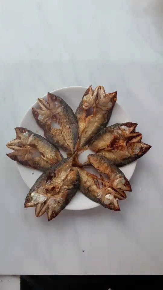 Fried Seafood Videos, Download The BEST Free 4k Stock Video Footage ...