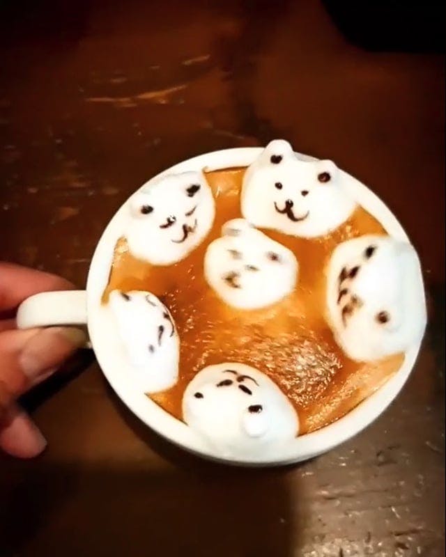 A Person Shaking a Cup of Coffee Free Stock Video Footage, Royalty-Free ...