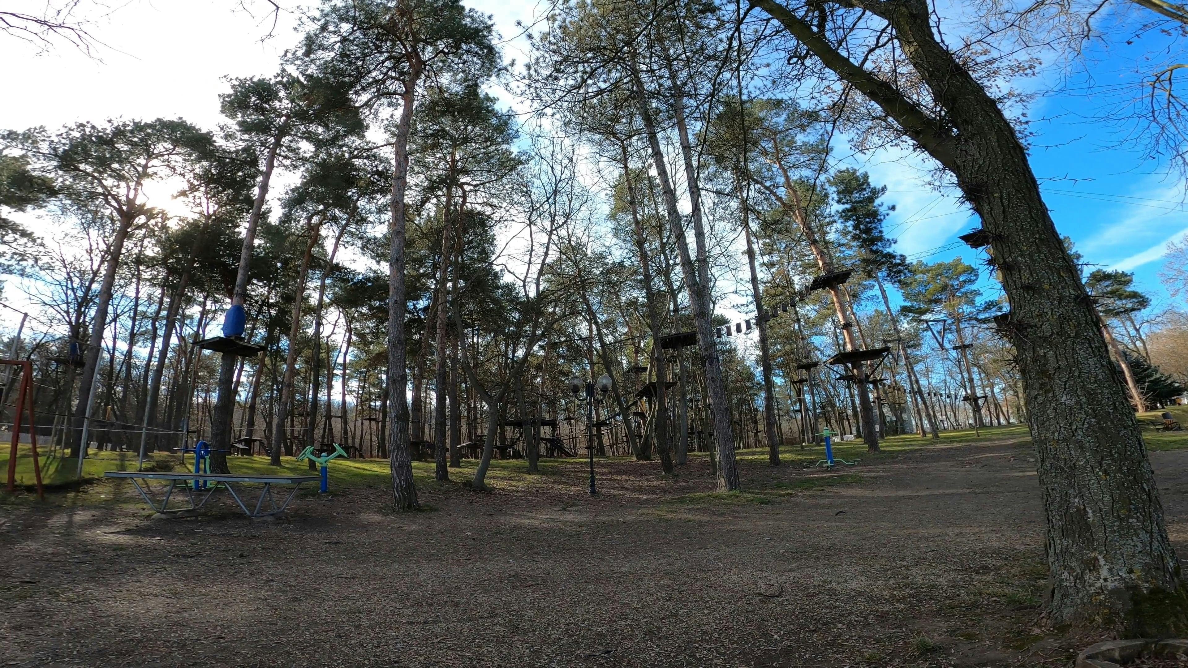 Tree Top Obstacle Course Free Stock Video Footage, Royalty-Free 4K & HD ...