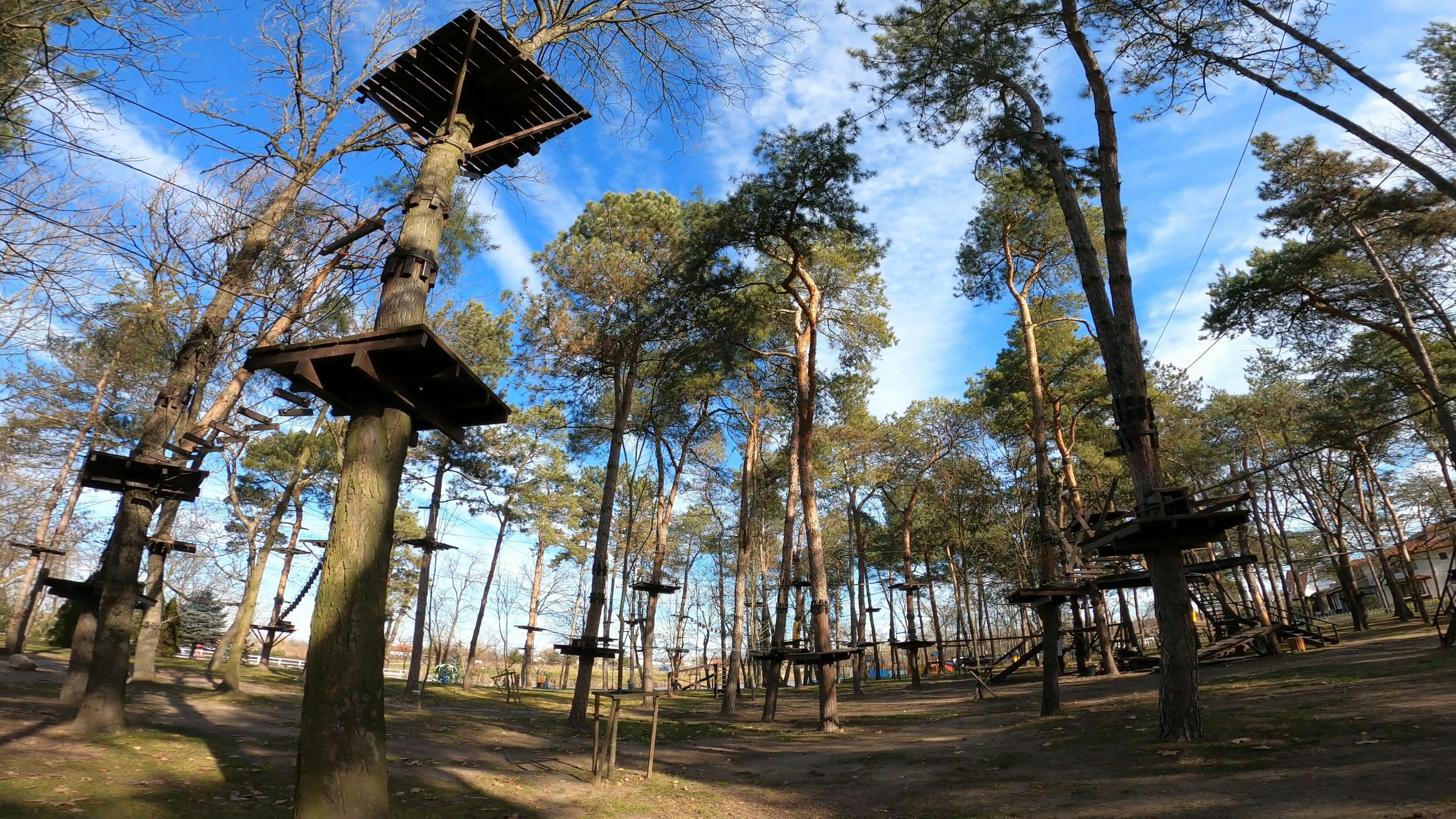 Tree Top Obstacle Course Free Stock Video Footage, Royalty-Free 4K & HD ...