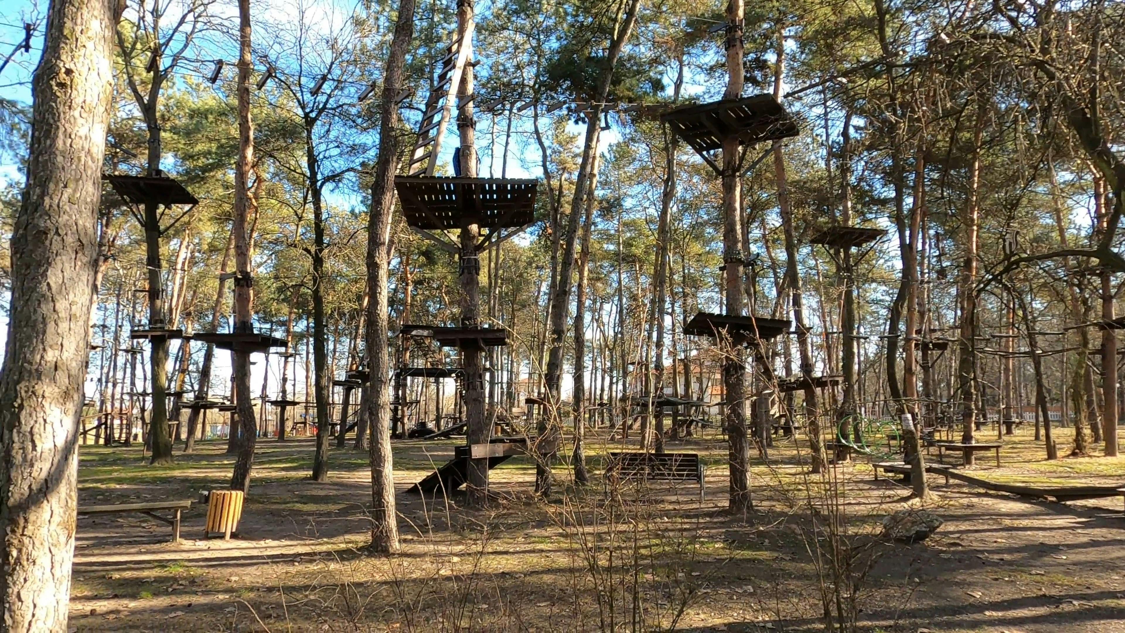 Tree Top Obstacle Course Free Stock Video Footage, Royalty-Free 4K & HD ...