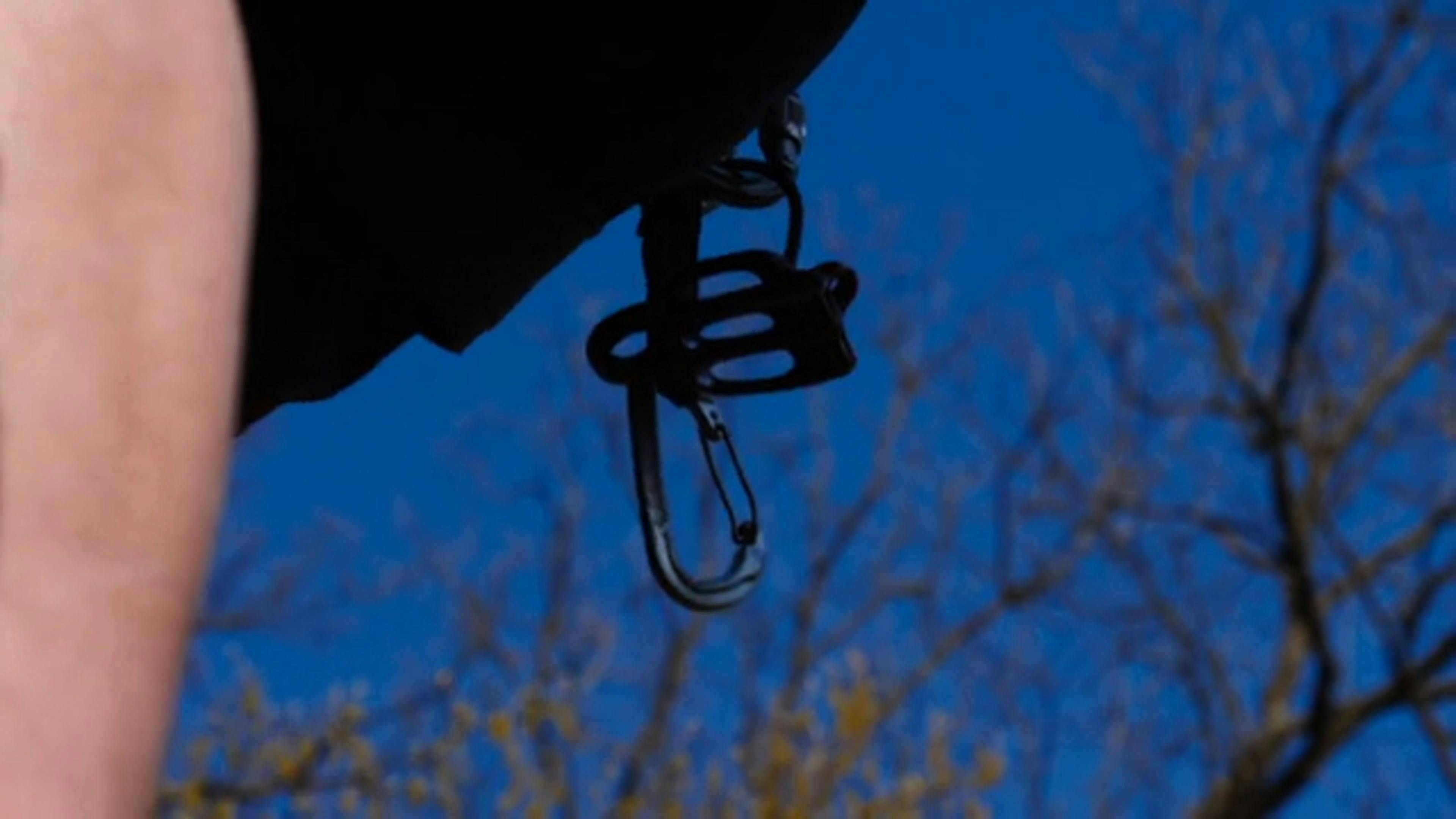 Forest Clips Videos, Download The BEST Free 4k Stock Video Footage ...