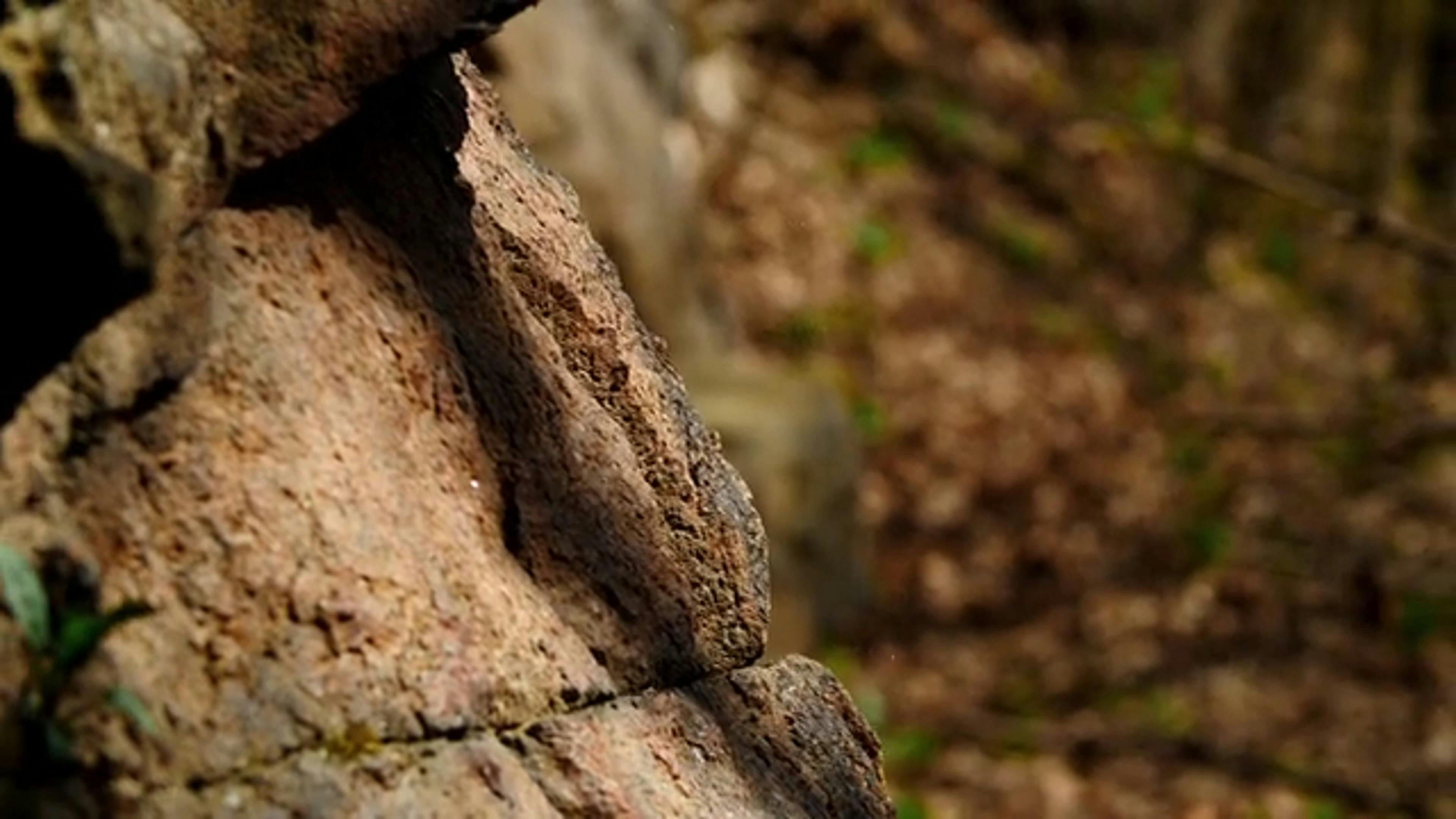 Sedimentary Rock Cliff Videos, Download The BEST Free 4k Stock Video ...