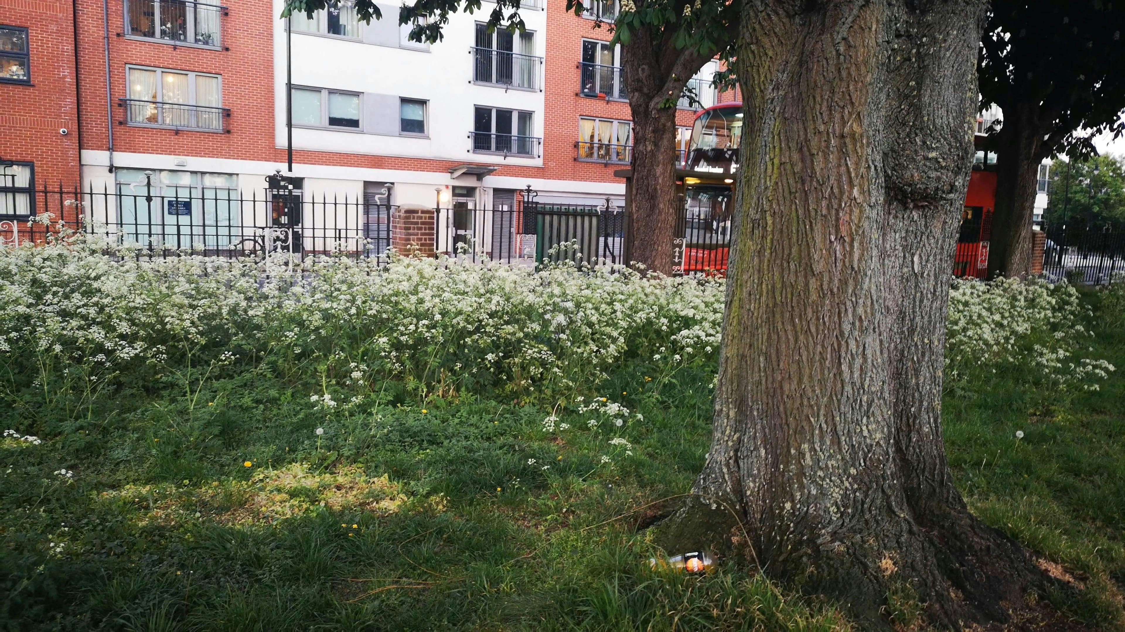 Parkside View Videos, Download The BEST Free 4k Stock Video Footage ...