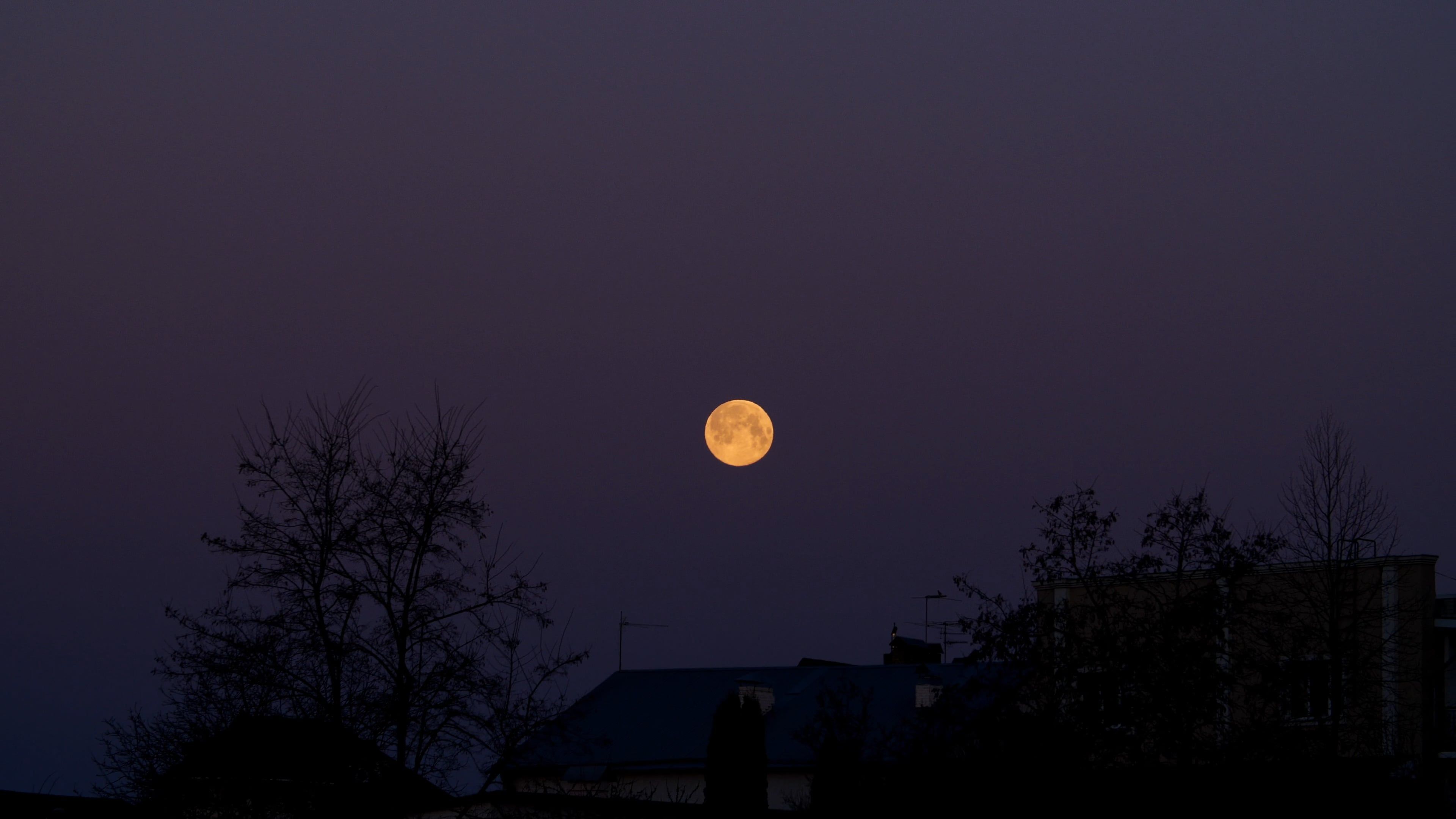 The Bright Light Of A Full Moon · Free Stock Video