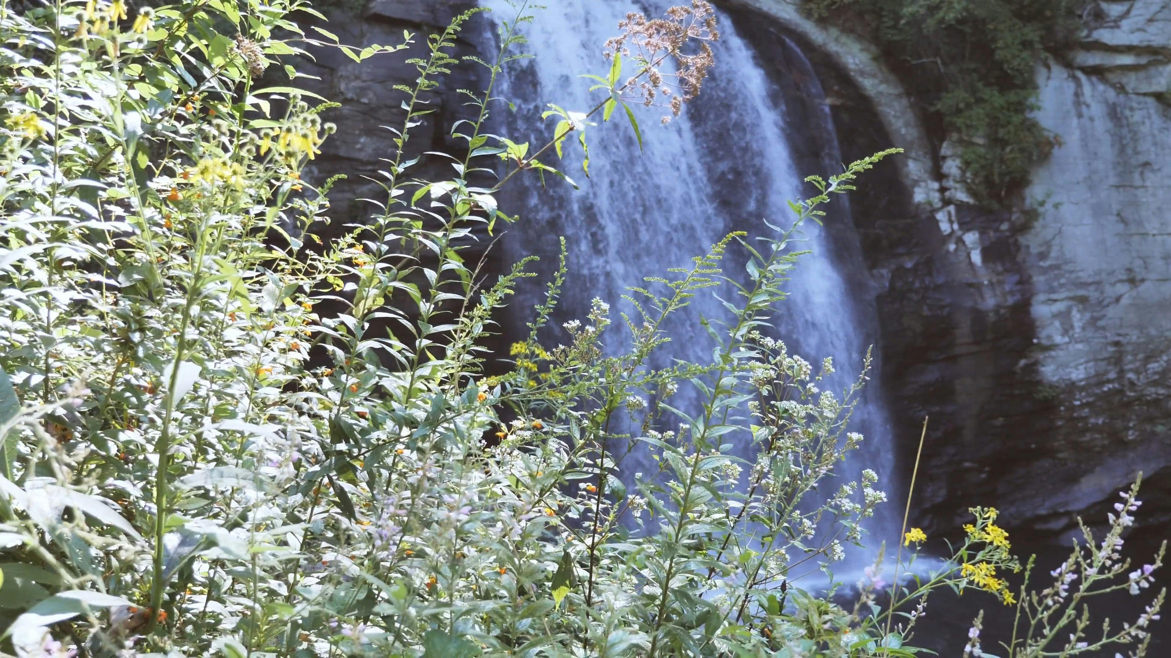 Plunge Waterfall Videos, Download The BEST Free 4k Stock Video Footage ...