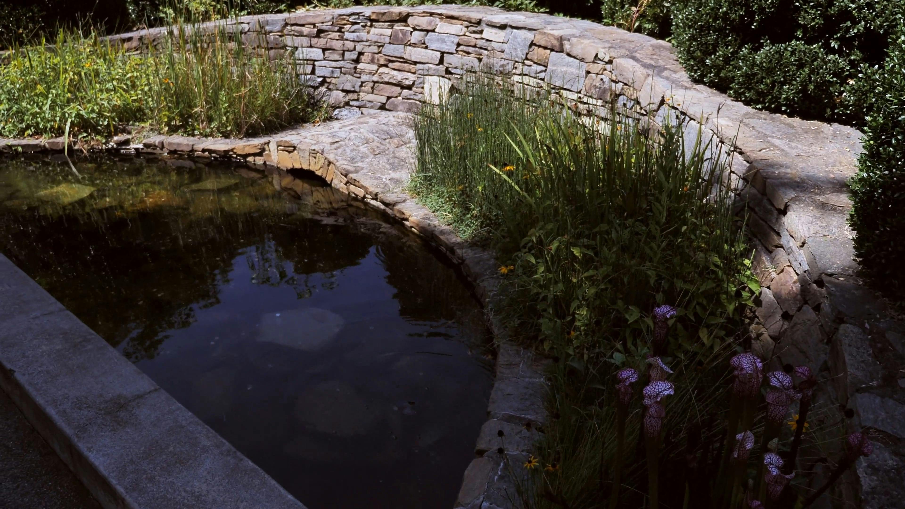 A Man Made Fishpond In The Garden Free Stock Video Footage, Royalty ...