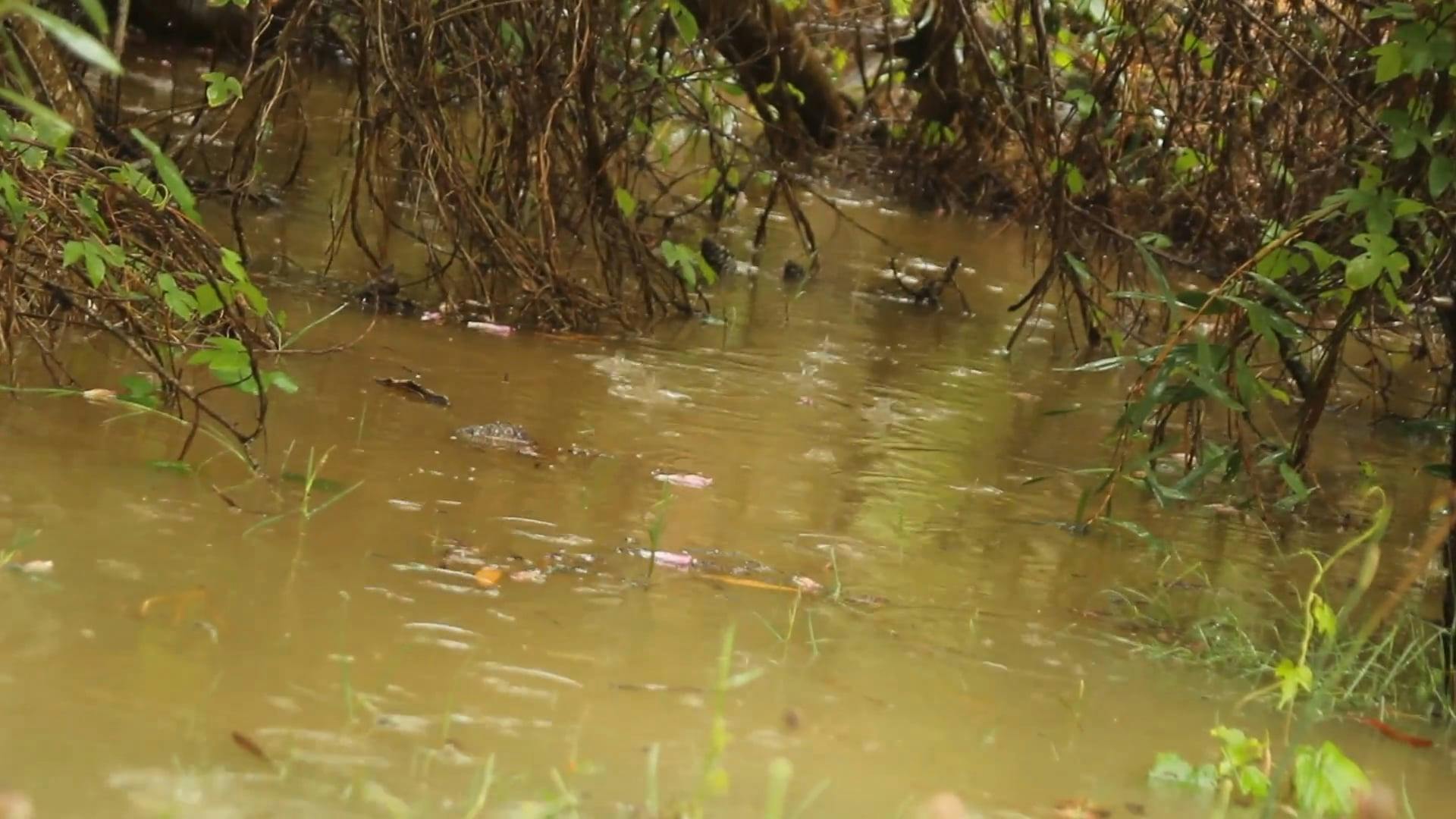 Utsikt Fen Fjellparken Videos, Download The BEST Free 4k Stock Video ...