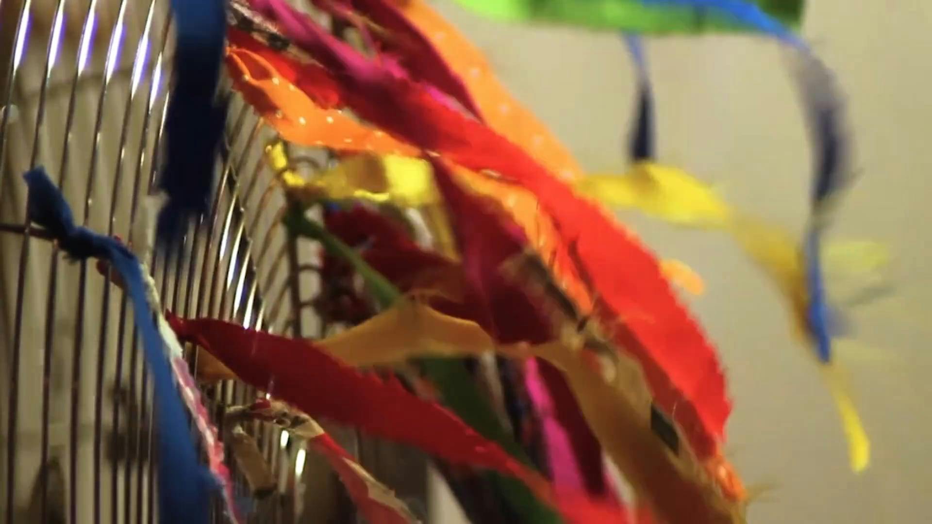 Wind Blowing Colorful Ribbons Free Stock Video Footage, Royalty-Free 4K ...