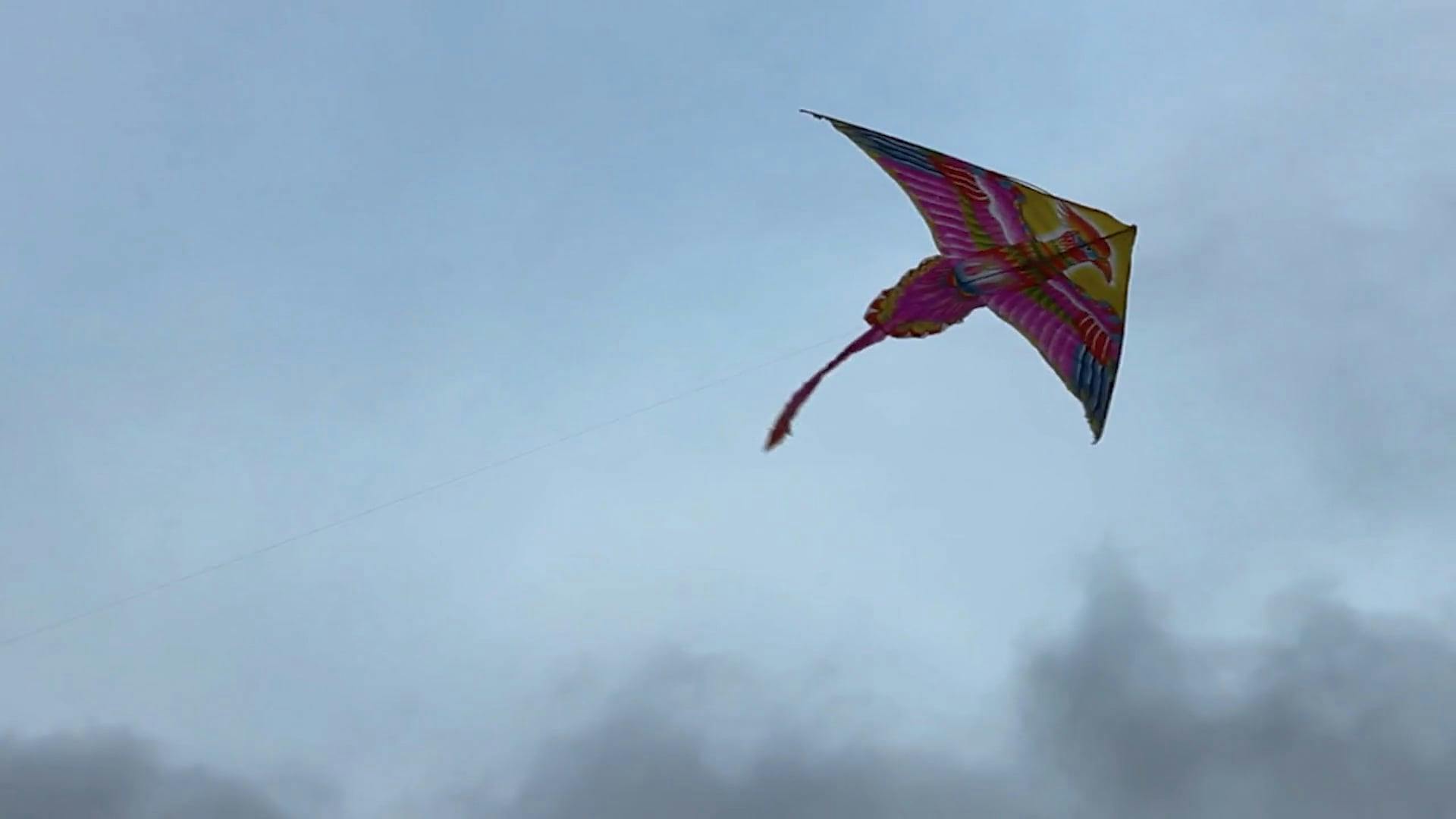 Kite Flying Videos, Download The BEST Free 4k Stock Video Footage ...