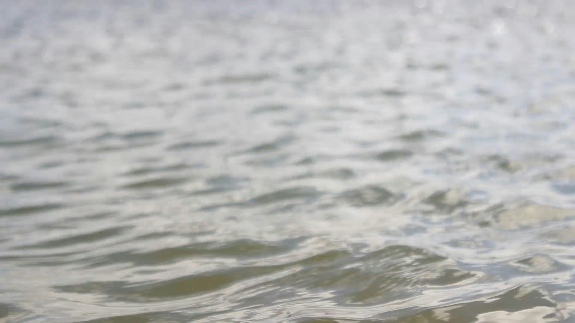 Small Ripples on the Water Surface · Free Stock Video