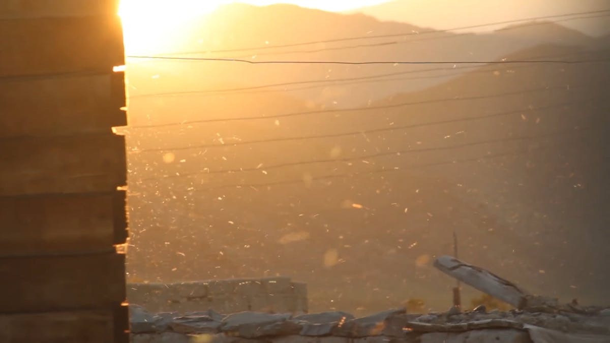 Dust Particles Videos, Download The BEST Free 4k Stock Video Footage ...