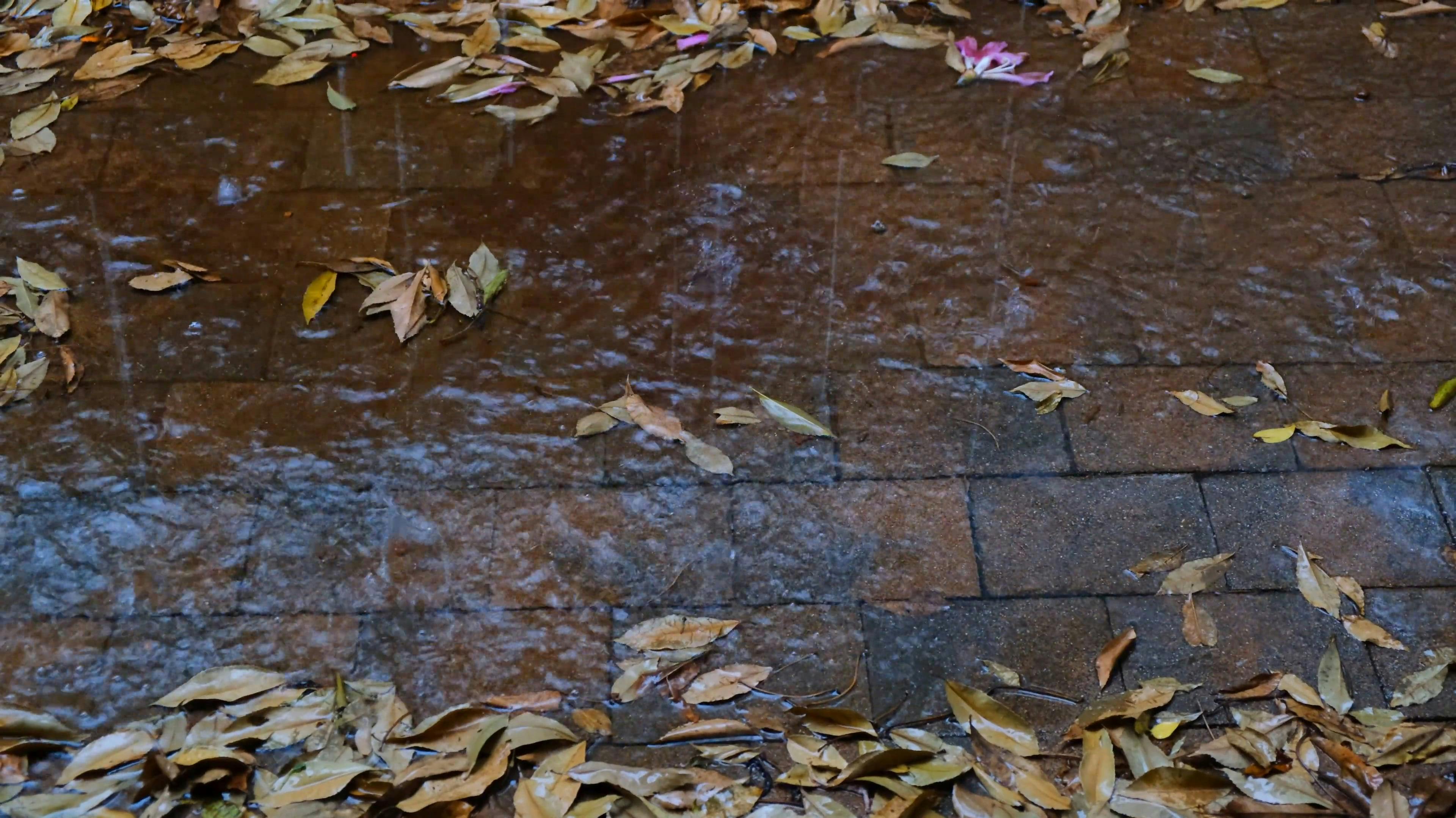 Rain Pouring Down the Ground Free Stock Video Footage, Royalty-Free 4K ...