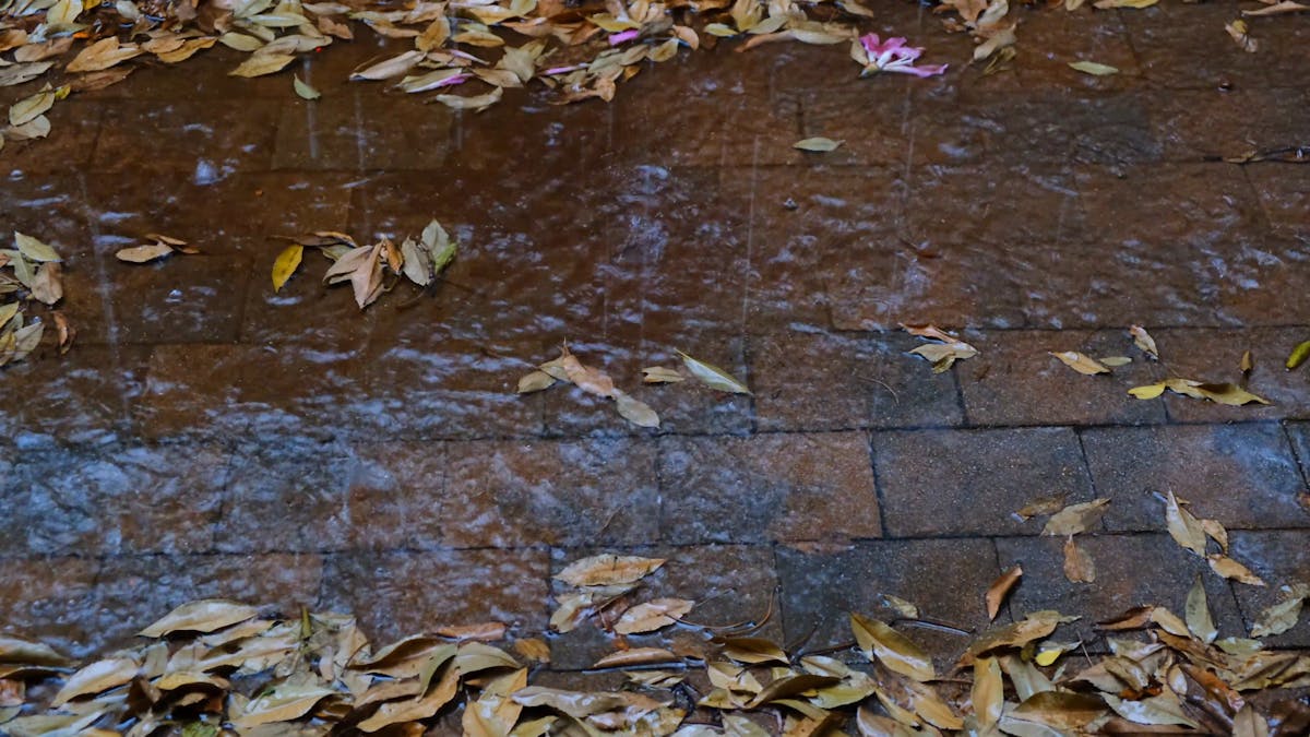 Pouring Rain Videos, Download The BEST Free 4k Stock Video Footage ...