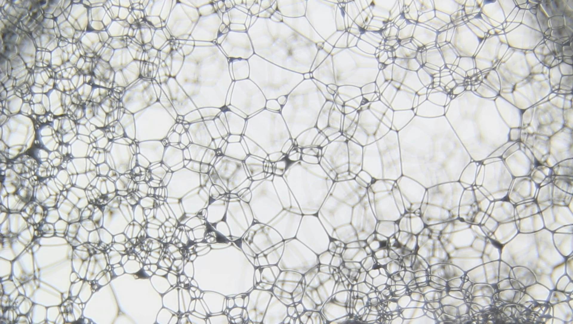 Bubble Wrap Videos, Download The BEST Free 4k Stock Video Footage ...