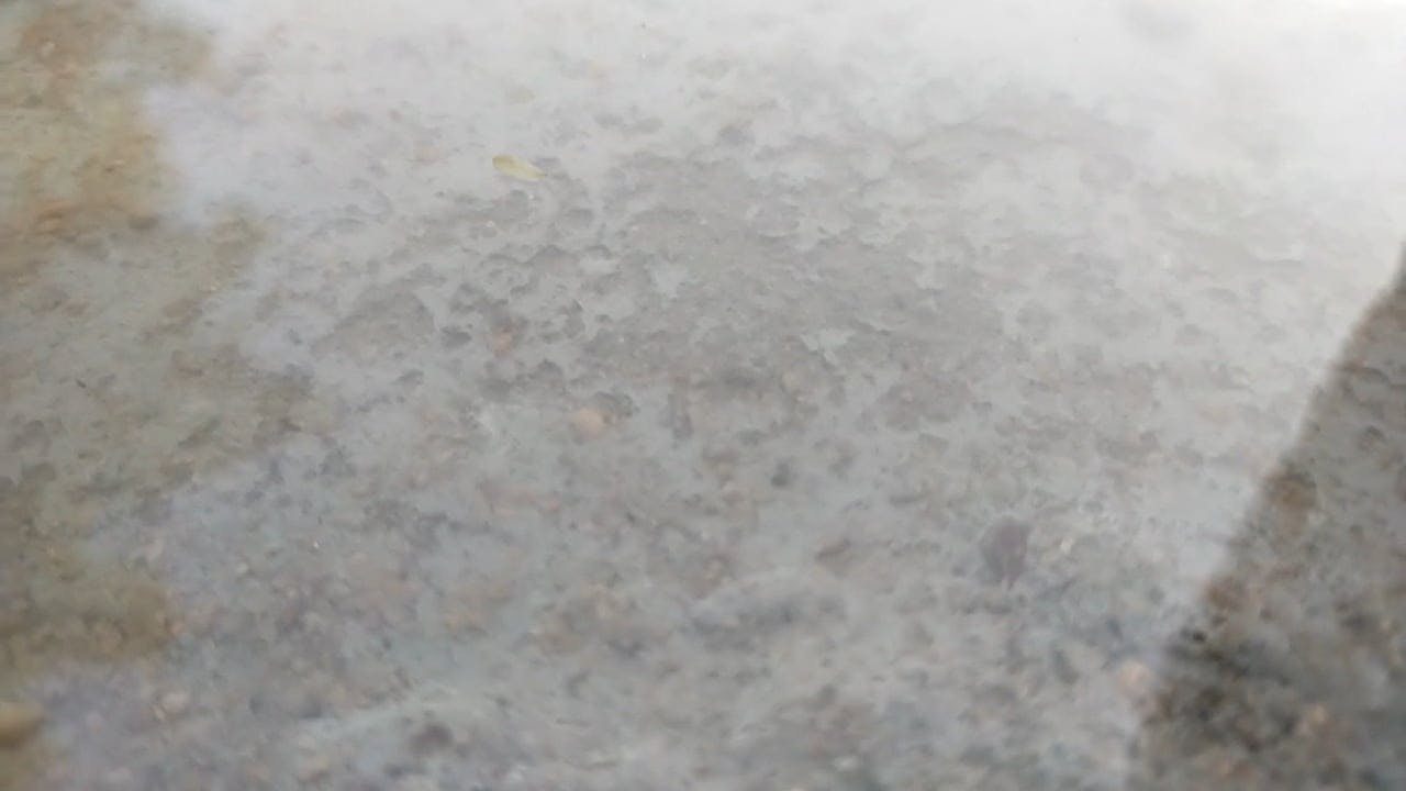 Sine Wave Form Videos, Download The BEST Free 4k Stock Video Footage ...