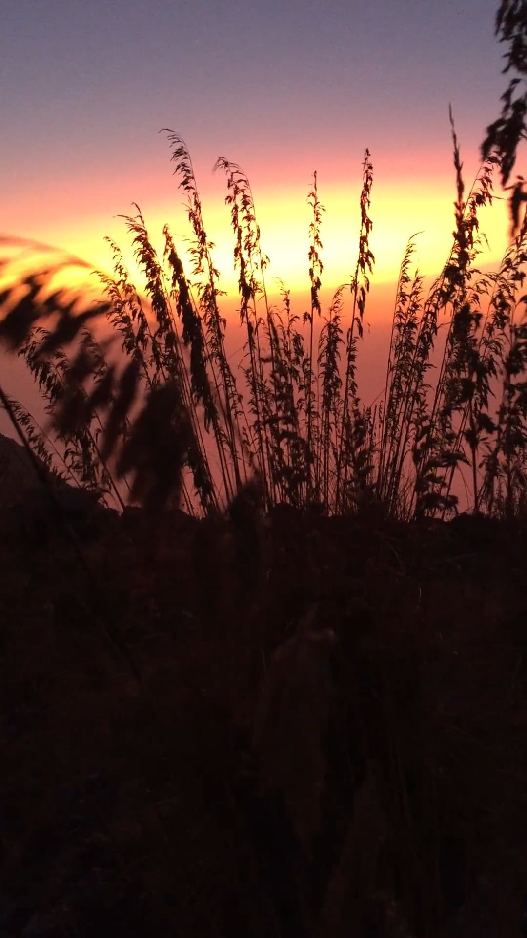 Time Lapse of a Dramatic Sunset Sky Free Stock Video Footage, Royalty ...