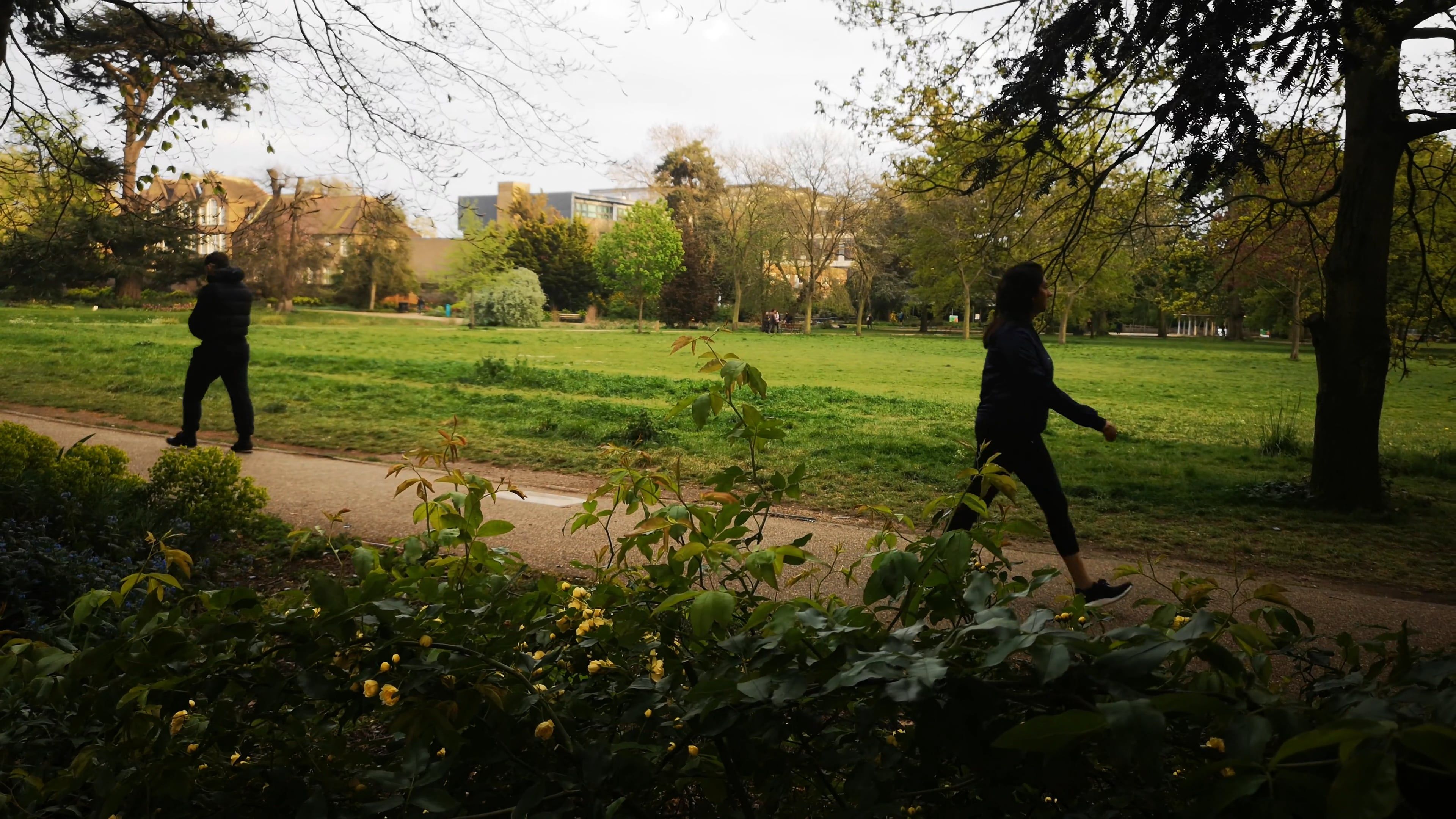 People Walking on the Foot Path in the Park Free Stock Video Footage ...