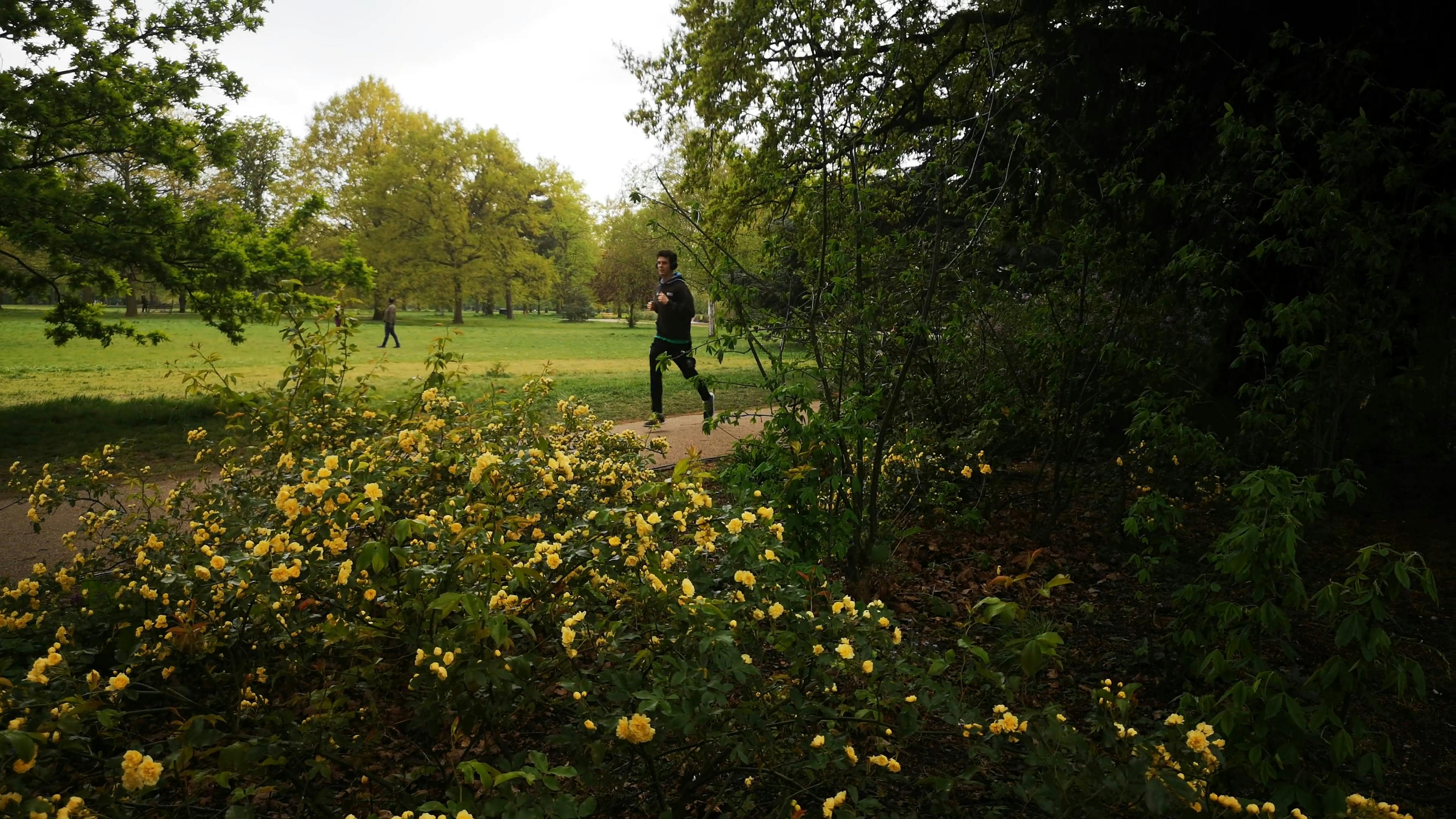 Morning Walk Videos, Download The BEST Free 4k Stock Video Footage ...