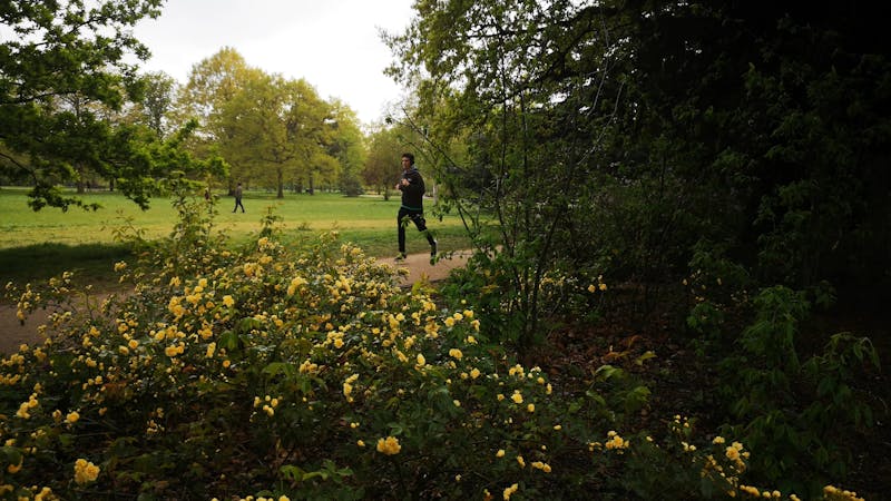 Morning Walk Videos, Download The BEST Free 4k Stock Video Footage ...