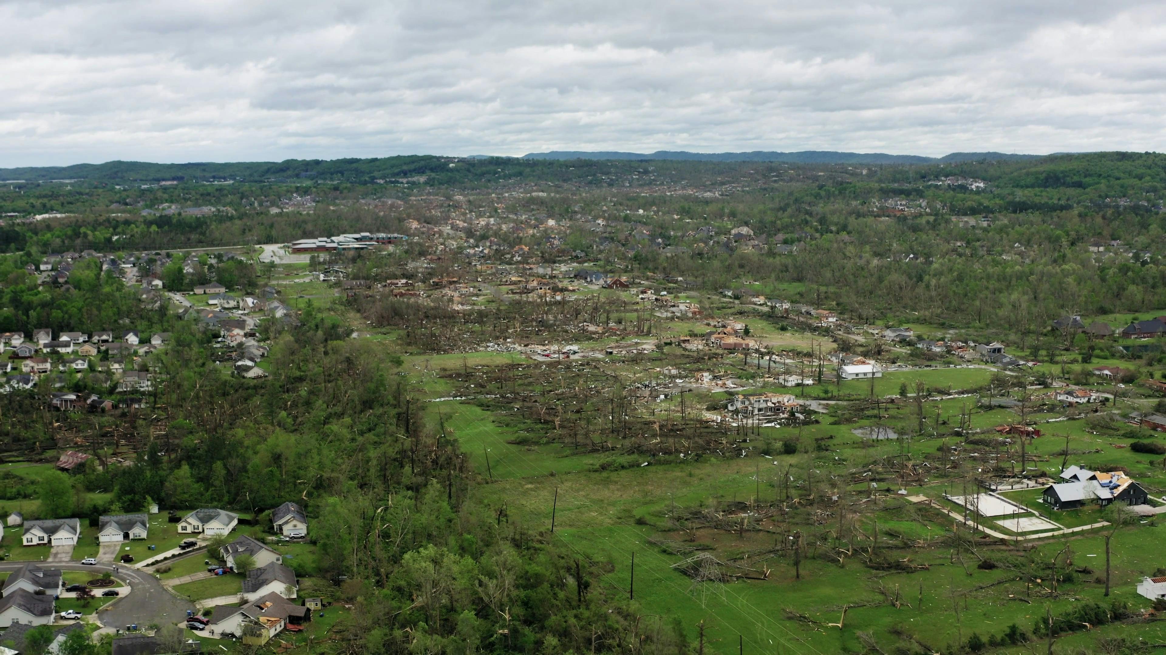 Earthquake In Forest Videos, Download The BEST Free 4k Stock Video ...