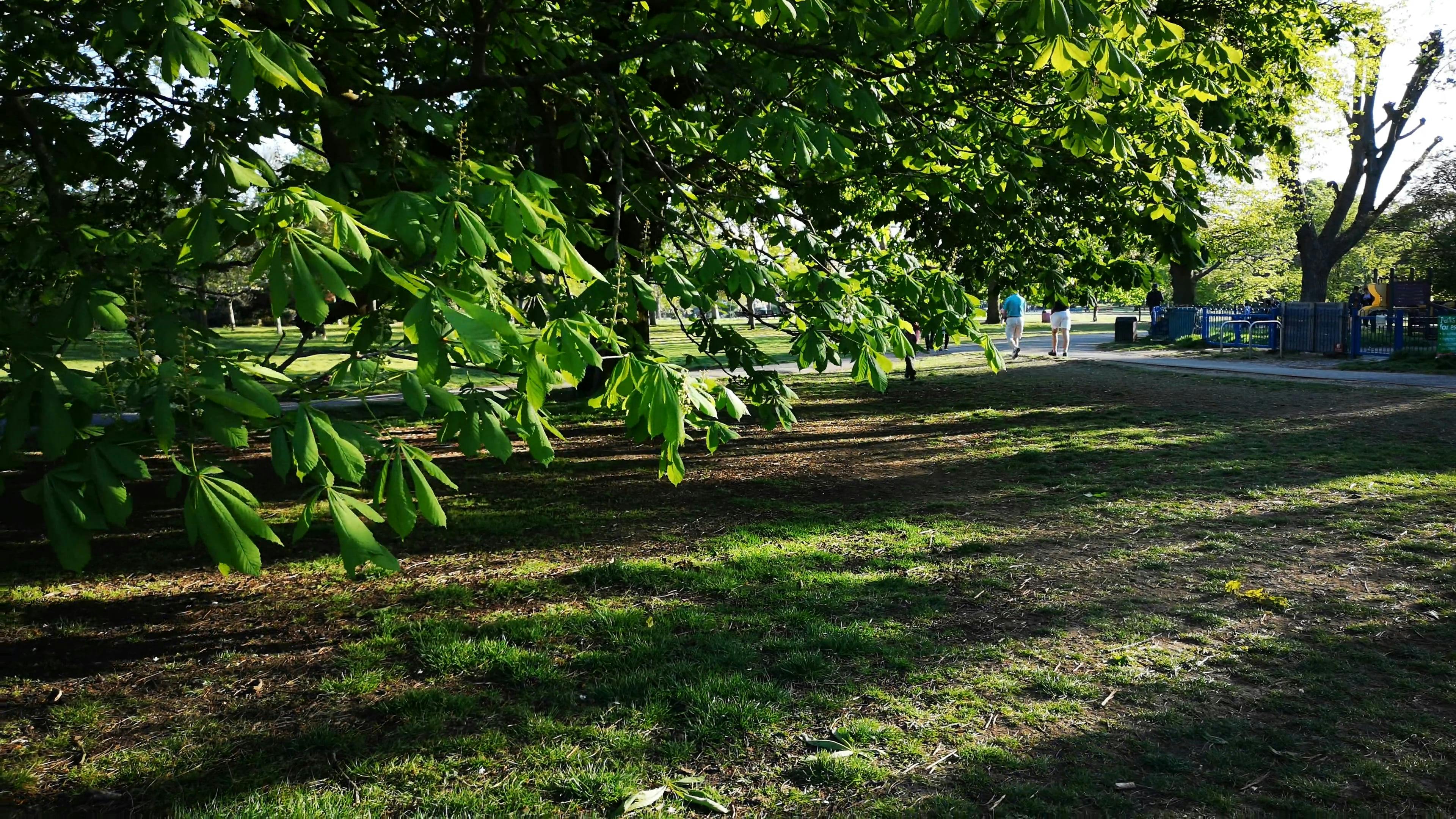 Britain Landscape Videos, Download The BEST Free 4k Stock Video Footage ...