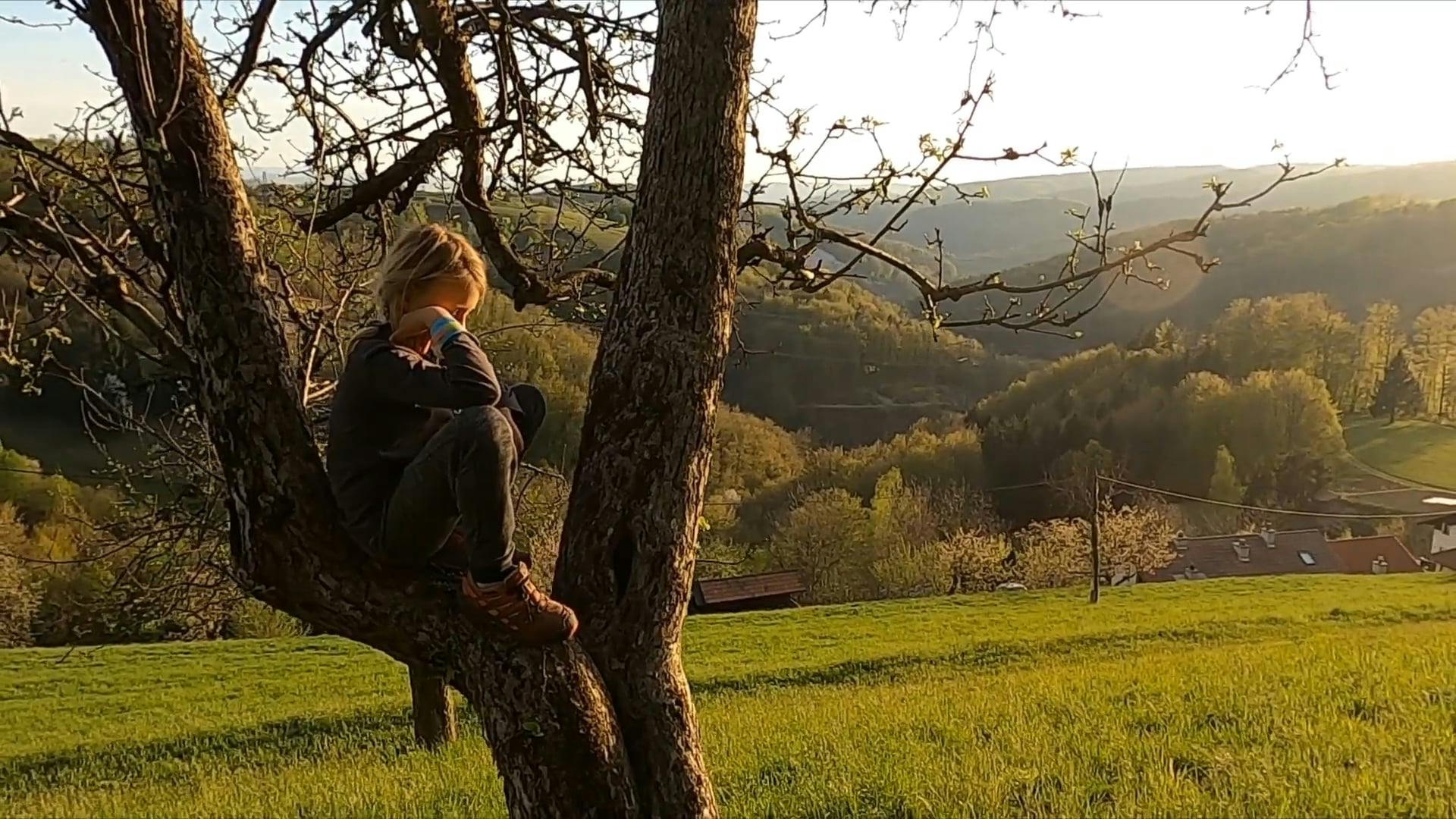 Pastoral Dream Videos, Download The BEST Free 4k Stock Video Footage & Pastoral Dream HD Video Clips