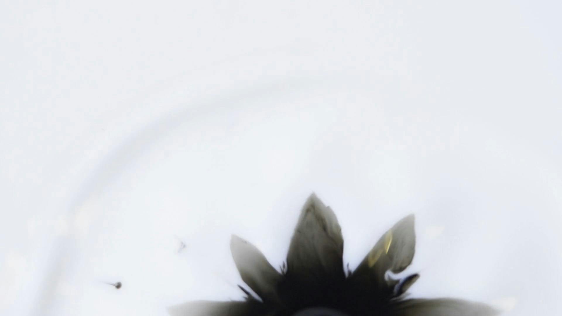 Engaging Visuals Videos, Download The BEST Free 4k Stock Video Footage ...