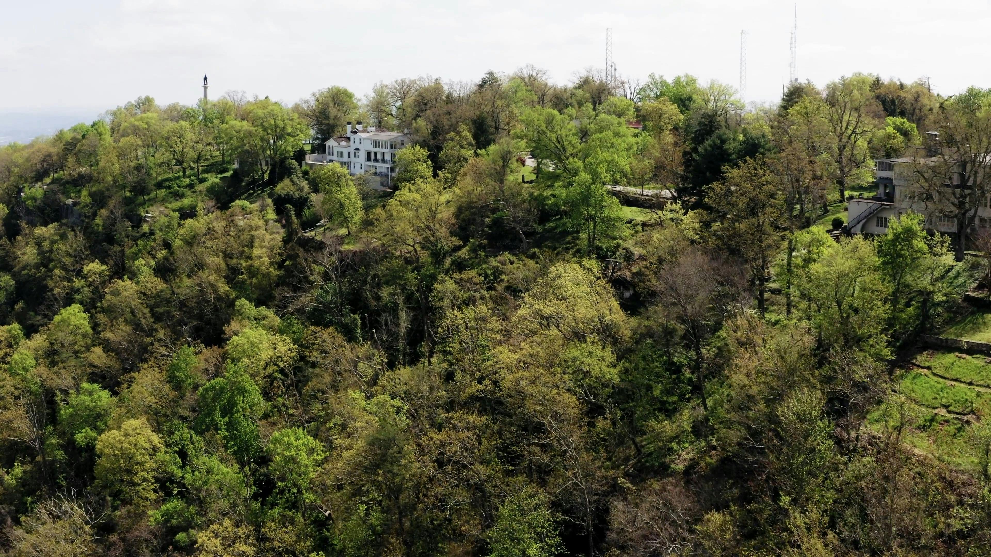 Drone Footage Of A Clearing In An Urban Forest · Free Stock Video