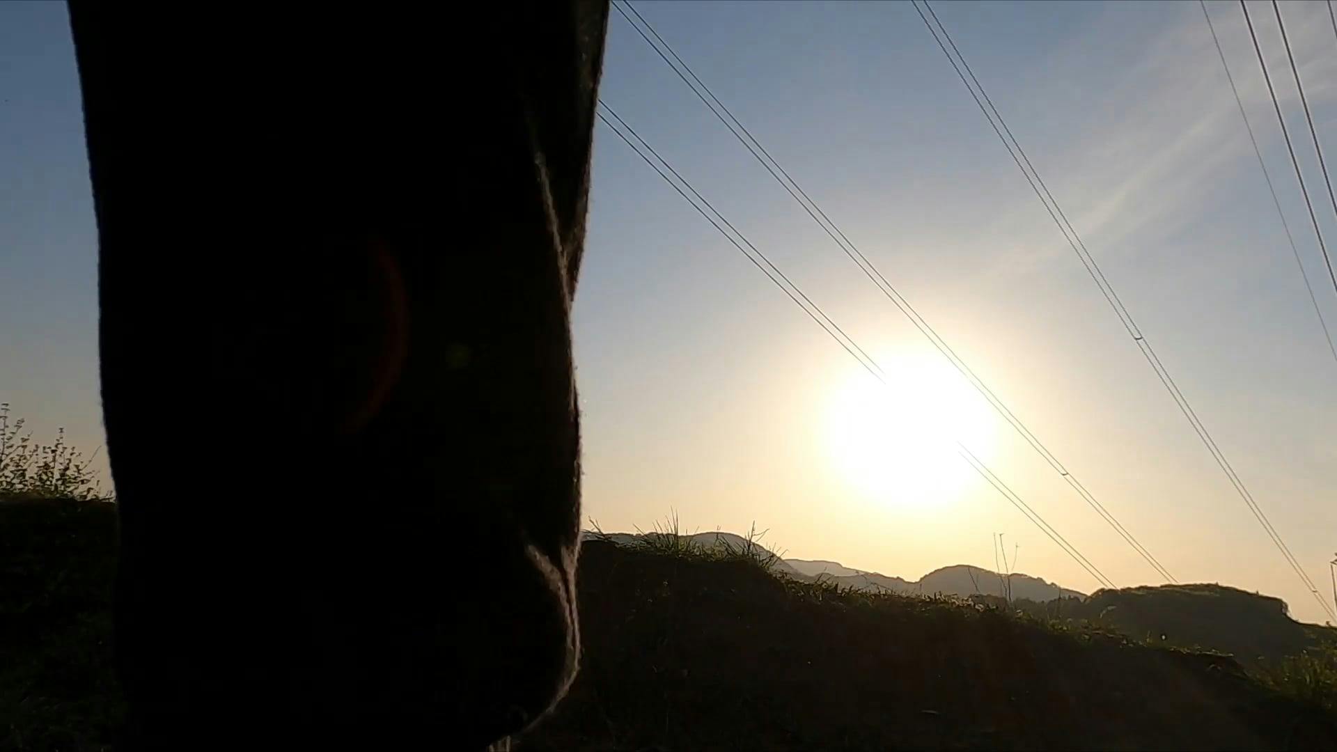 A Woman Exercising While Watching The View · Free Stock Video