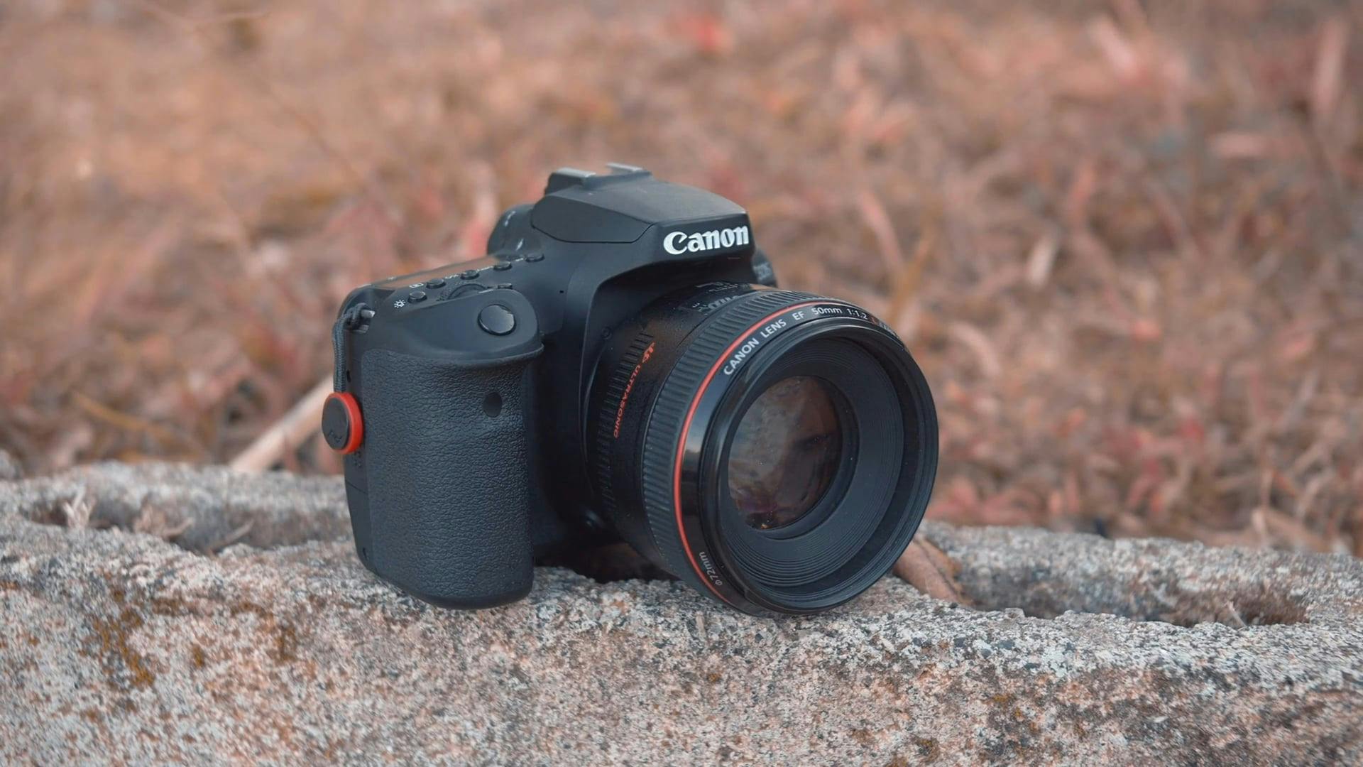 Close-Up Shot of DSLR Camera Free Stock Video Footage, Royalty-Free 4K ...