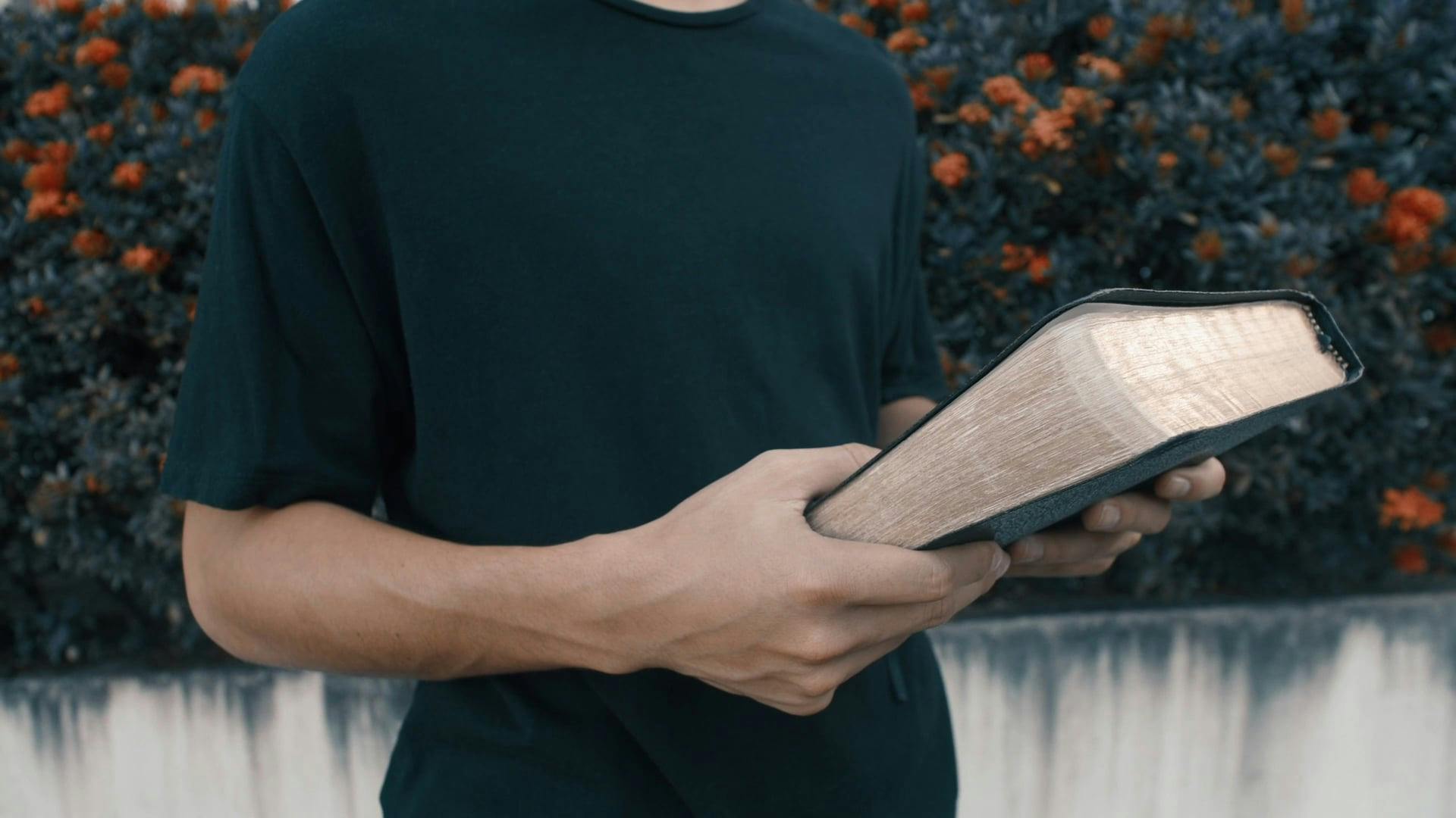 Book Cover For Bible Videos, Download The BEST Free 4k Stock Video ...