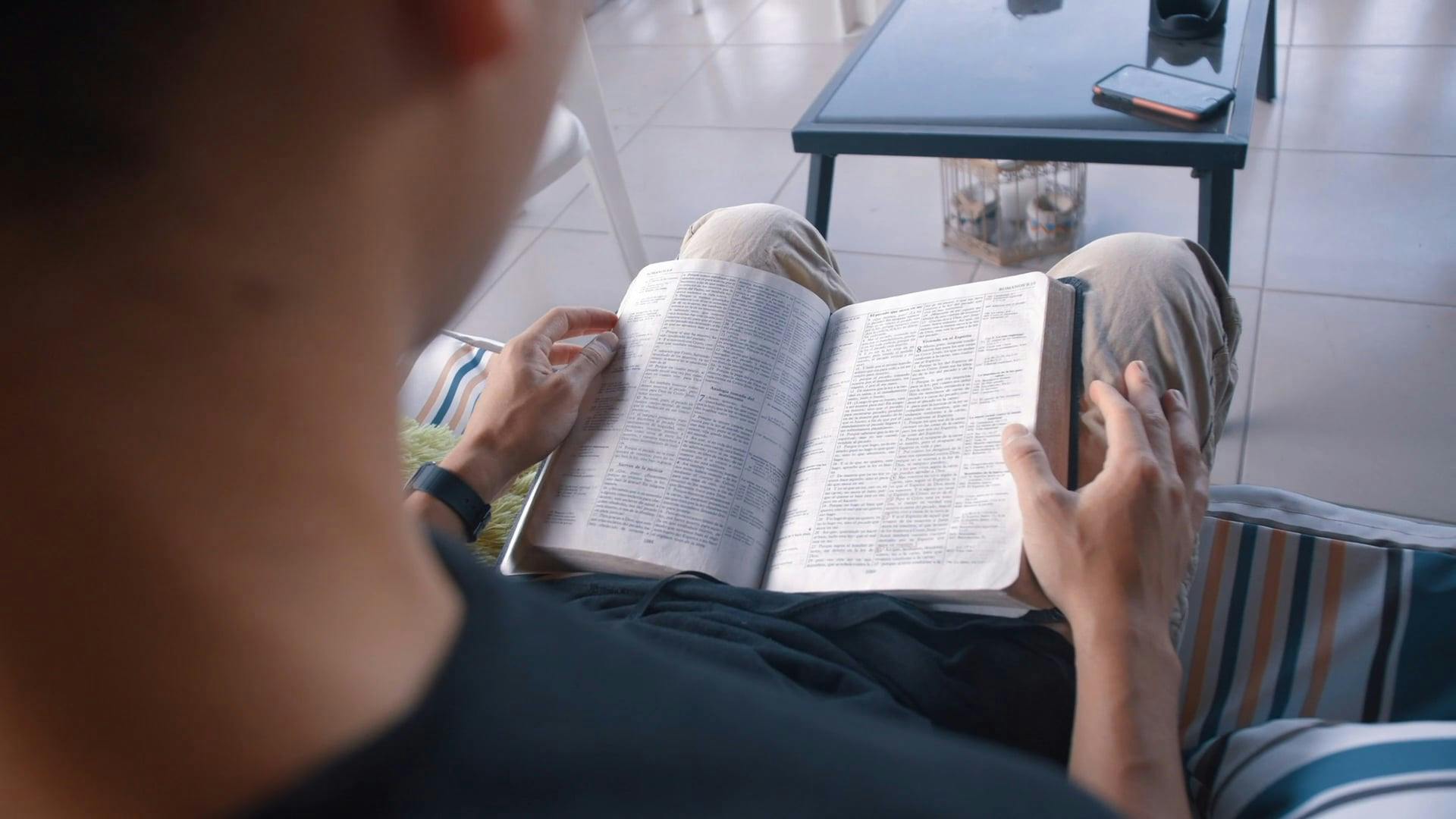 A Person Sitting Down Reading a Book · Free Stock Video