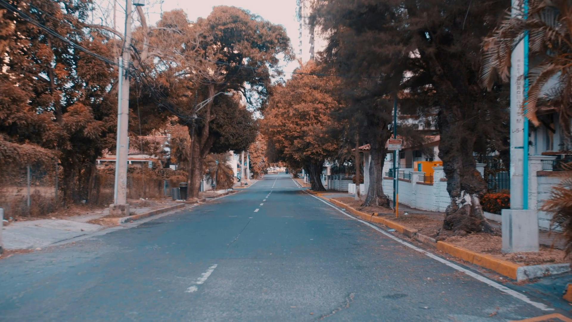A Shot of an Empty Street in the Neighborhood · Free Stock Video