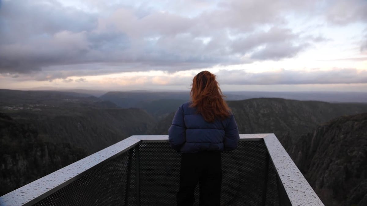 Strong Winds Videos, Download The BEST Free 4k Stock Video Footage ...