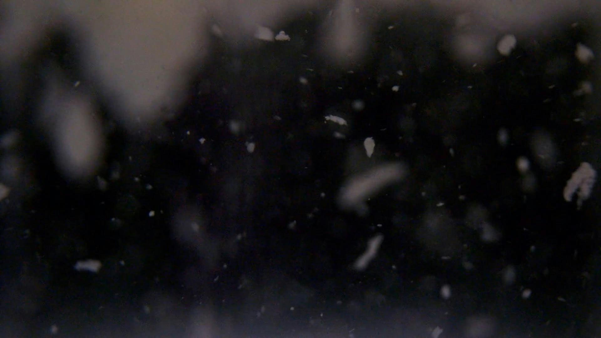 Slow Motion Shot of Particles Flying Around · Free Stock Video