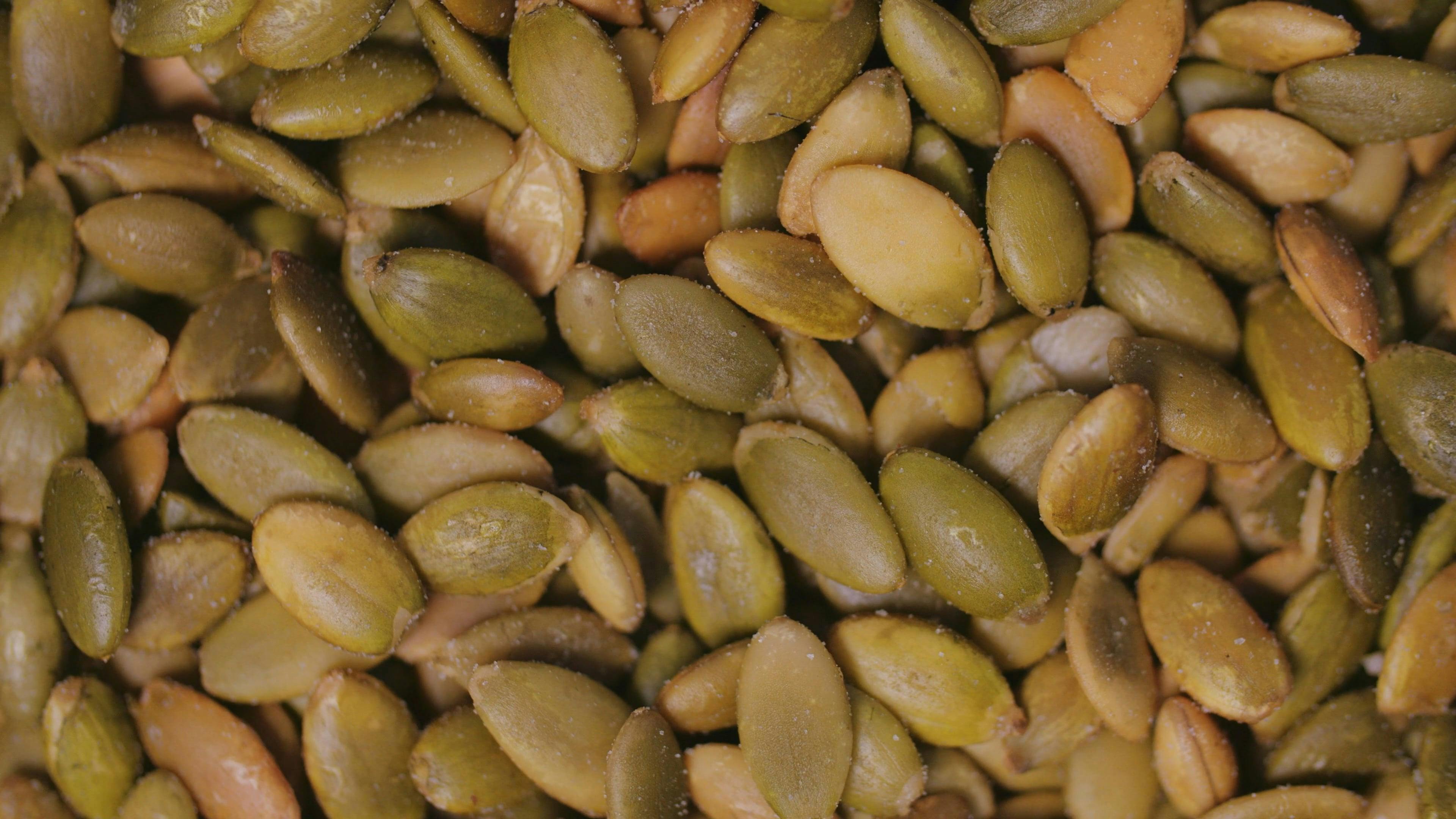 Pumpkin Seed Videos, Download The BEST Free 4k Stock Video Footage ...