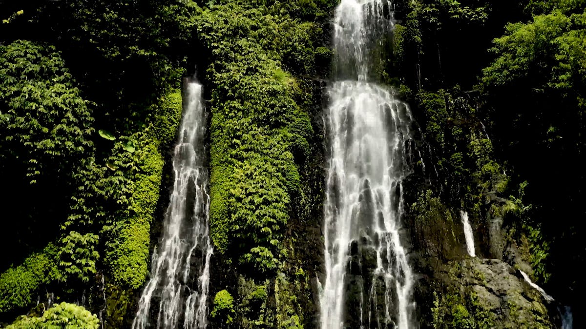 Rainforest Videos, Download The BEST Free 4k Stock Video Footage ...