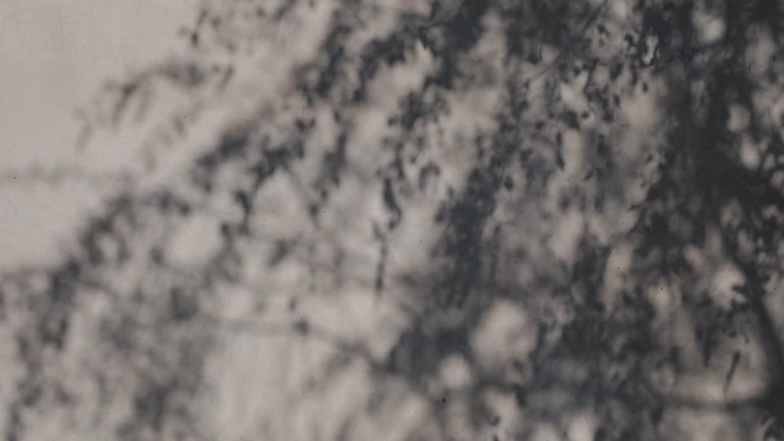 Shadow Videos, Download The BEST Free 4k Stock Video Footage & Shadow ...