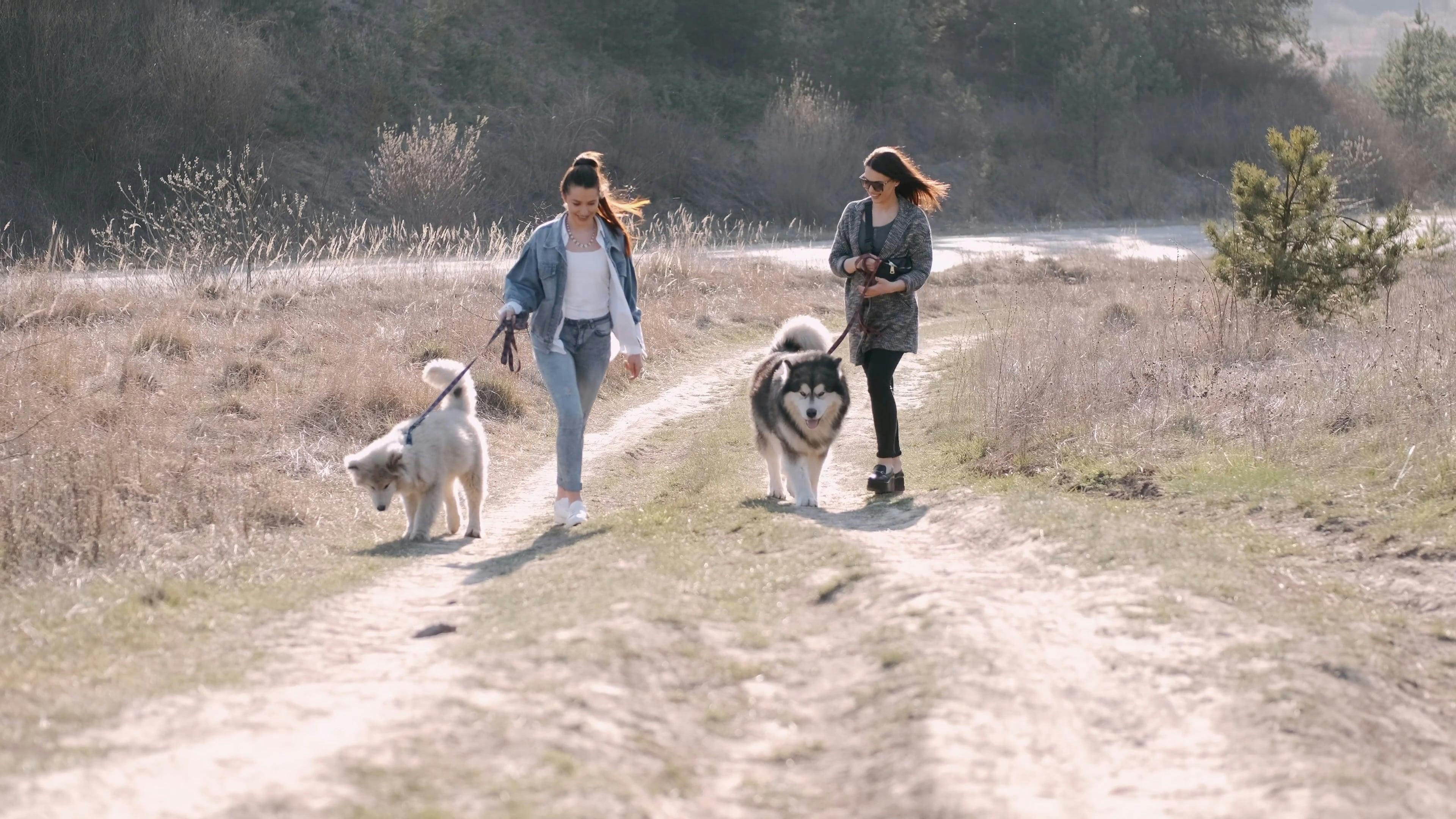 Two Women Dog Lovers Walking Their Pets On An Unpaved Road · Free Stock ...