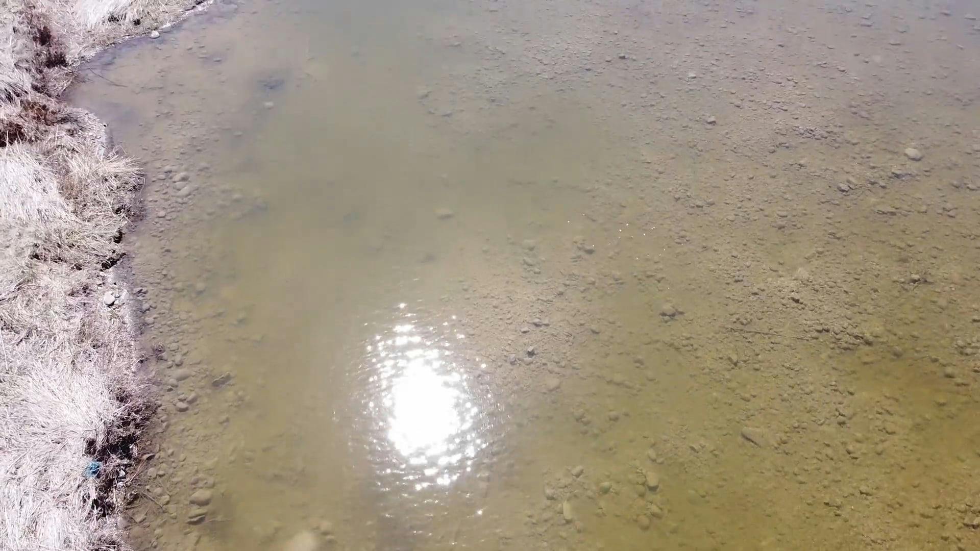 Aerial View Of Forest Free Stock Video Footage, Royalty-Free 4K & HD ...