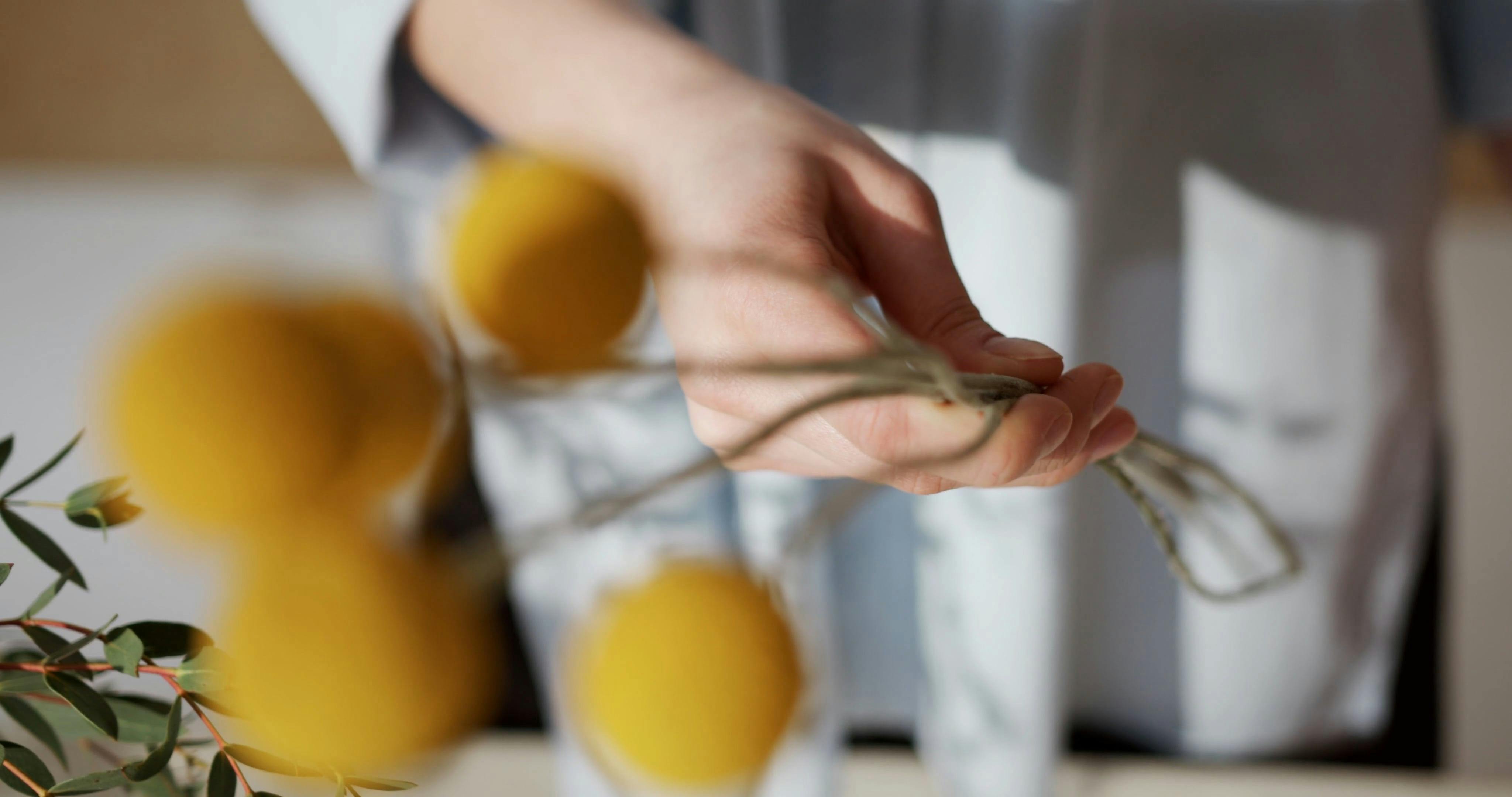 Buku Bud Tips Videos, Download The BEST Free 4k Stock Video Footage ...