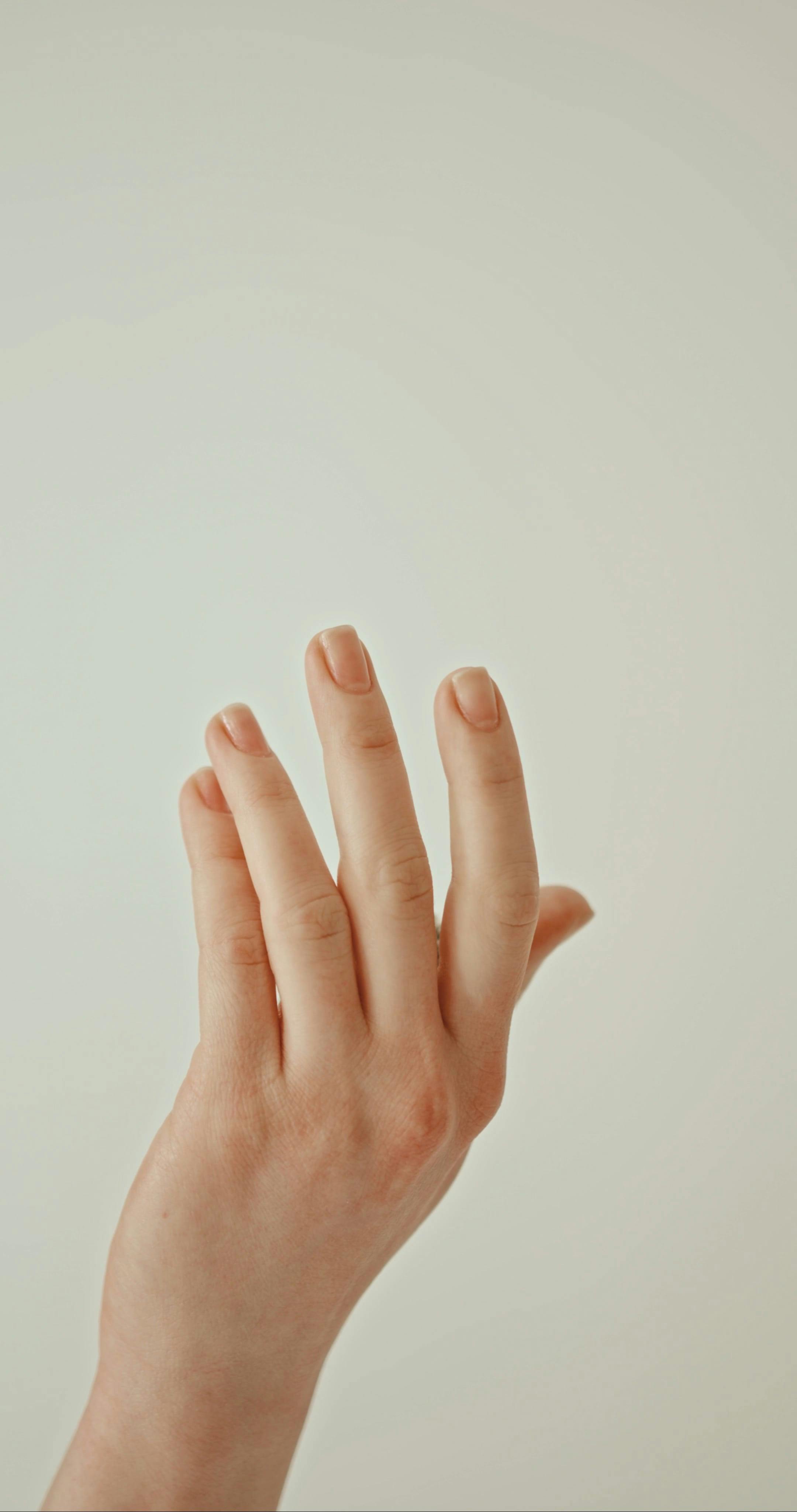 76+ Vidéos De Elfe Libre de Droit, Clips Vidéo de Elfe en 4K et HD