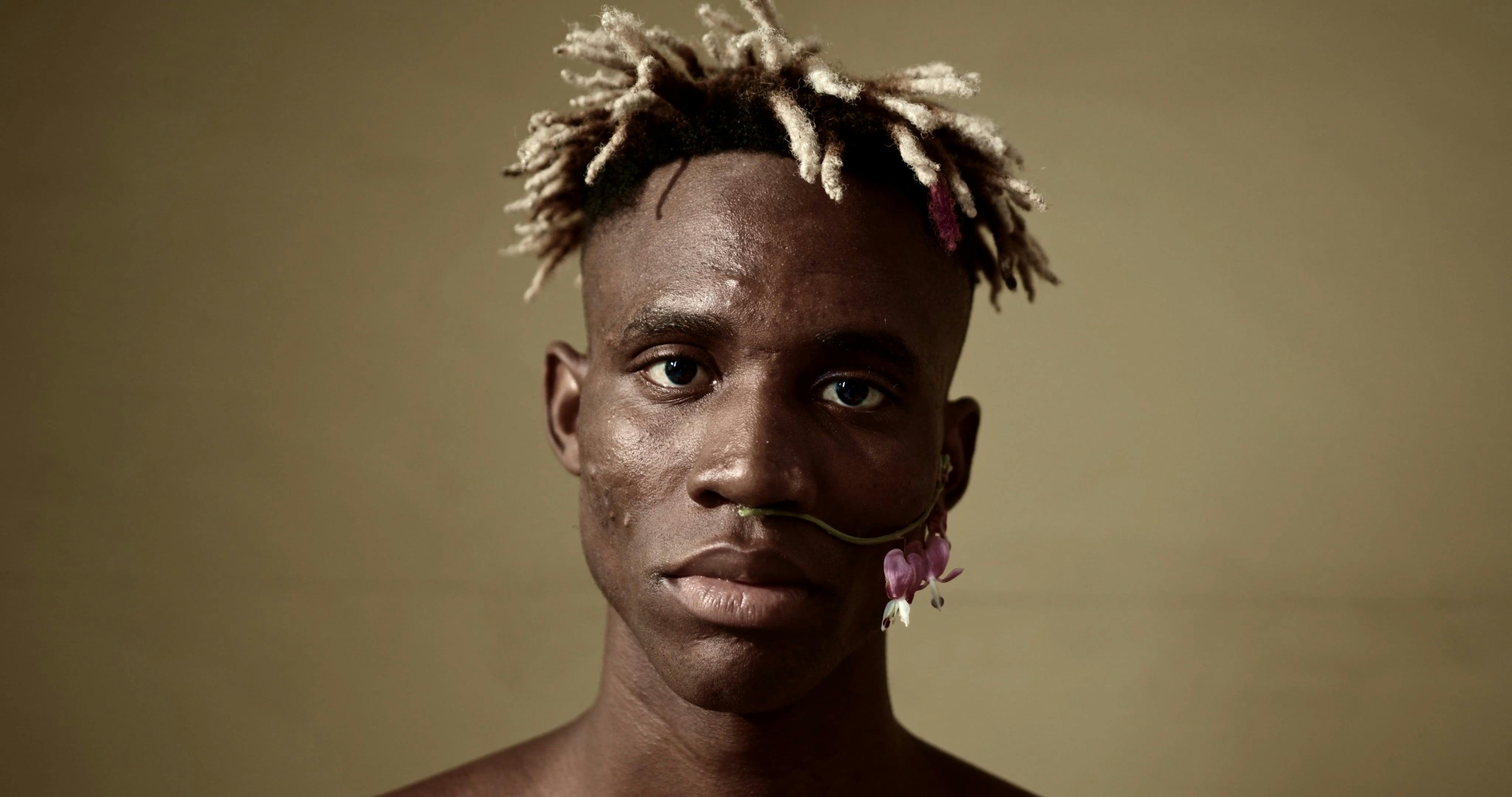 Man With Plant On His Face Free Stock Video Footage, Royalty-Free 4K ...