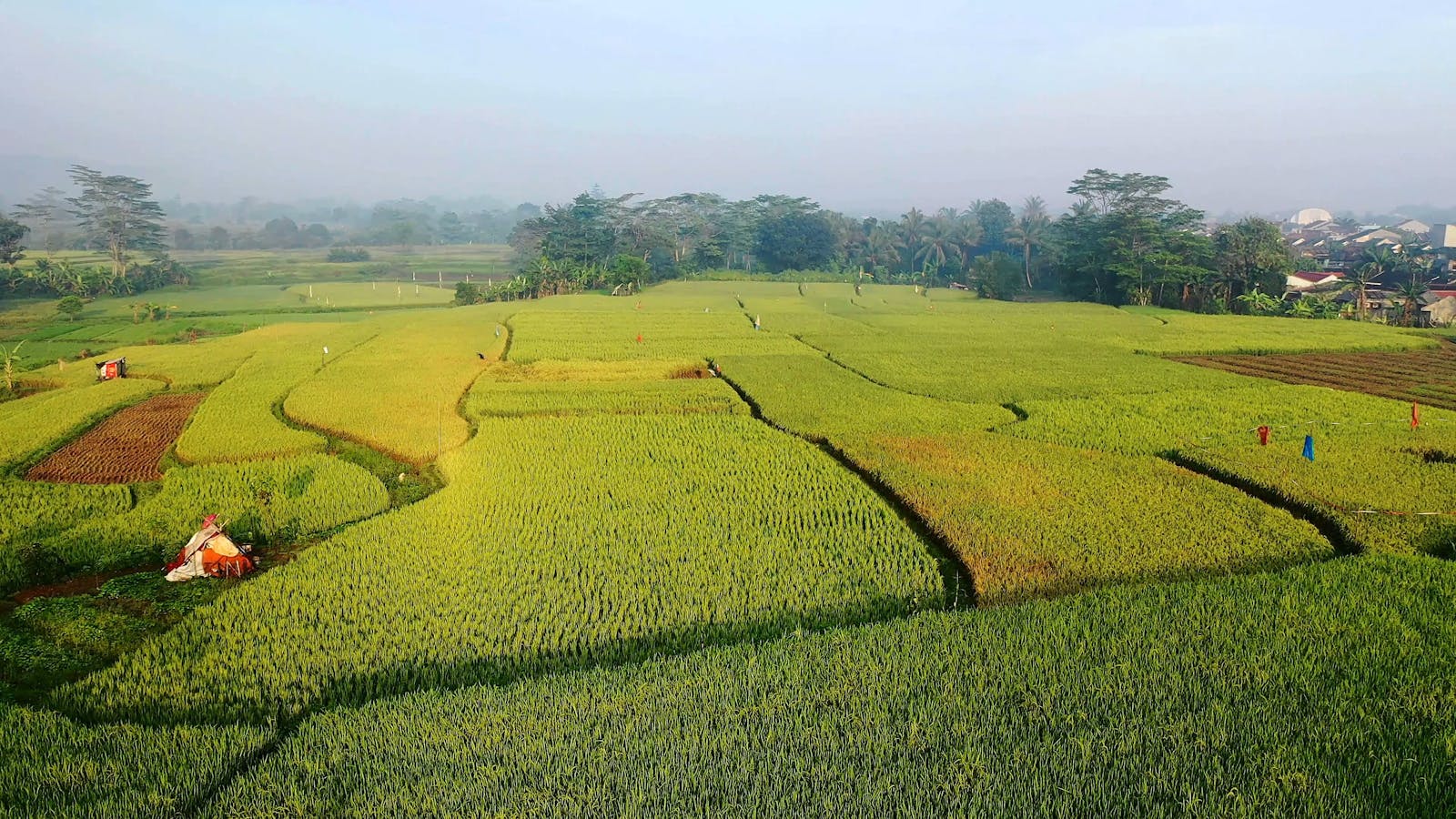 Countryside Videos, Download The BEST Free 4k Stock Video Footage ...