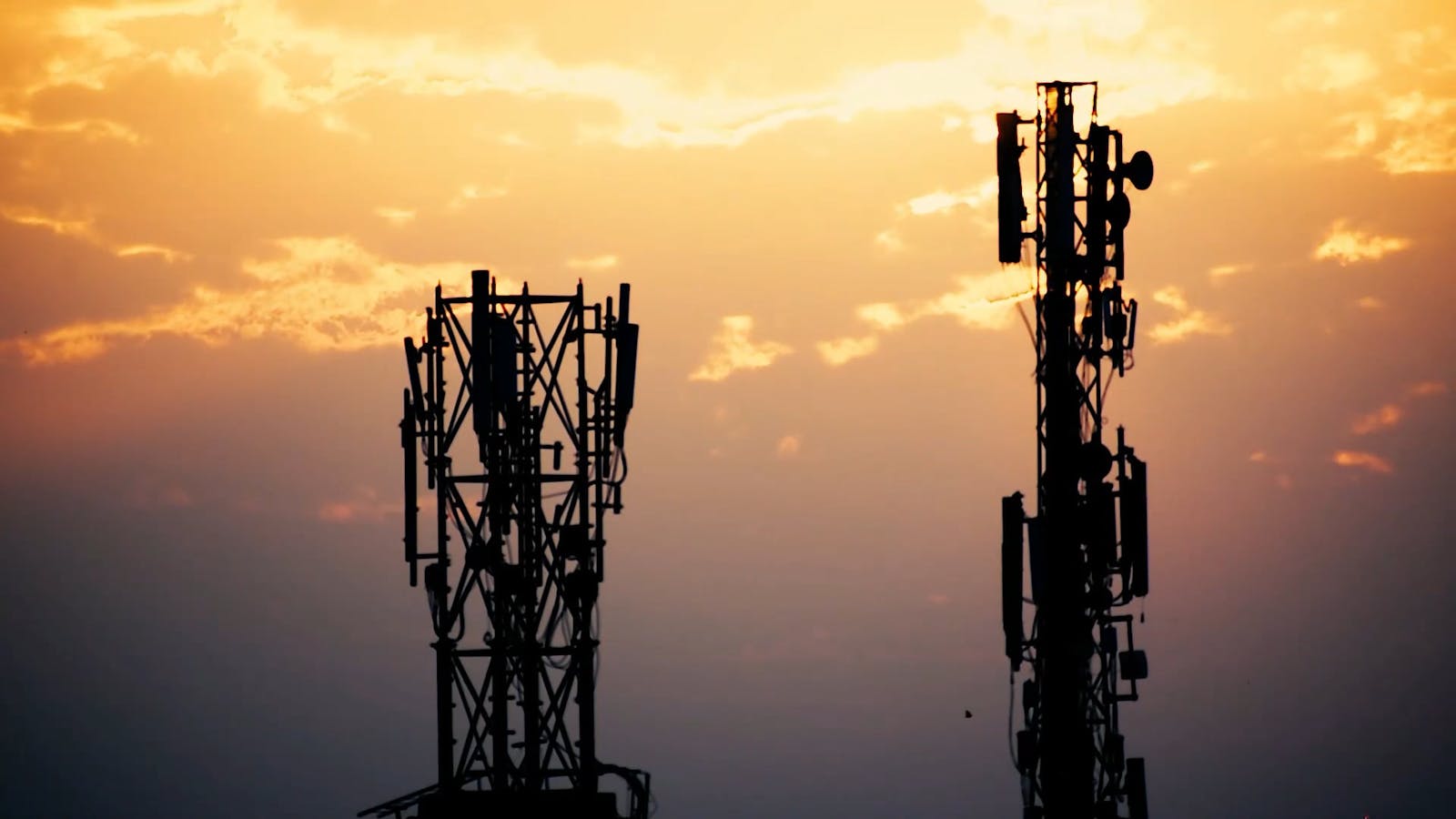 6,797+ Best Free Bird flying 4K Stock Video Footage & Royalty-Free HD ...