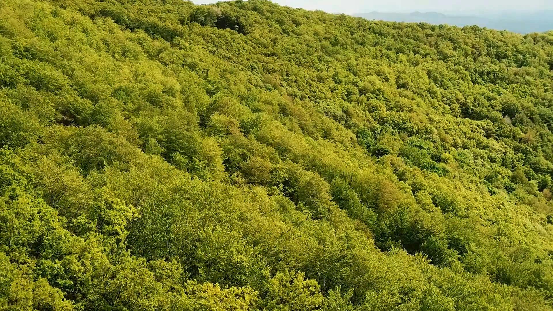 Beautiful View OF Rocky Mountains With Grassland Free Stock Video ...