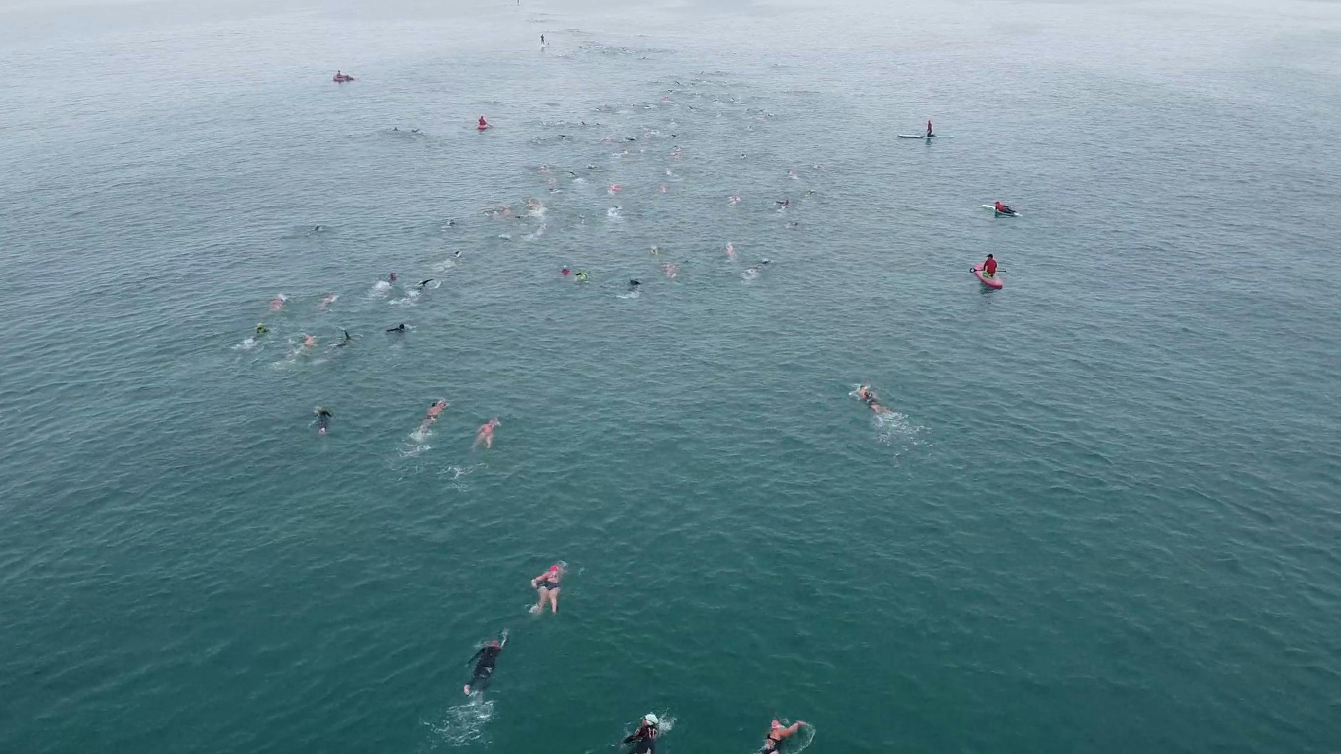 Ocean Swimming Competition Videos, Download The BEST Free 4k Stock ...